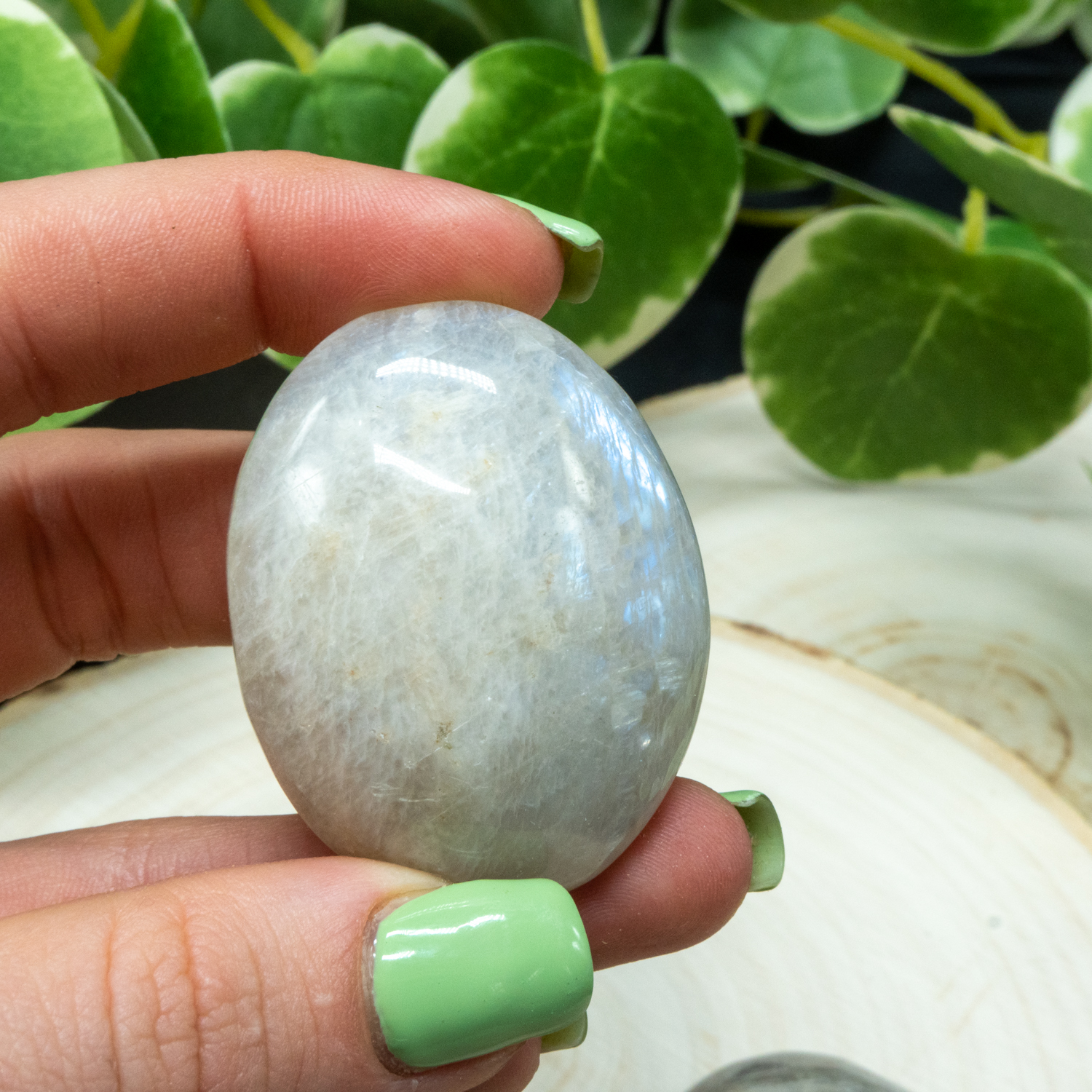 Moonstone Palmstone - The Crystal Council
