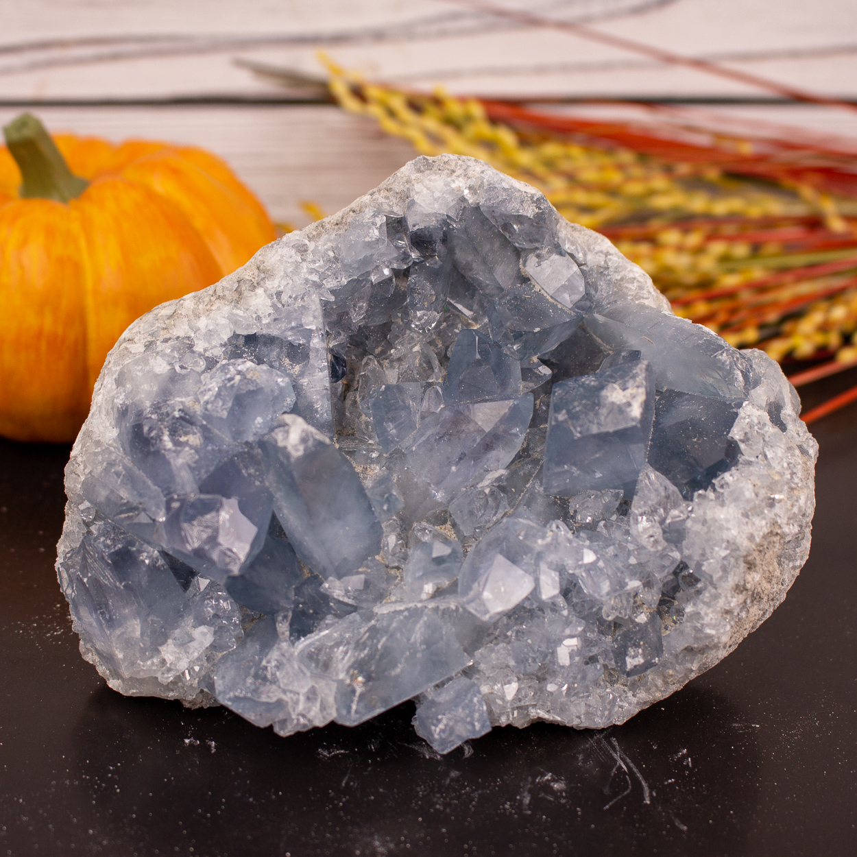 Raw Celestite #7 - The Crystal Council
