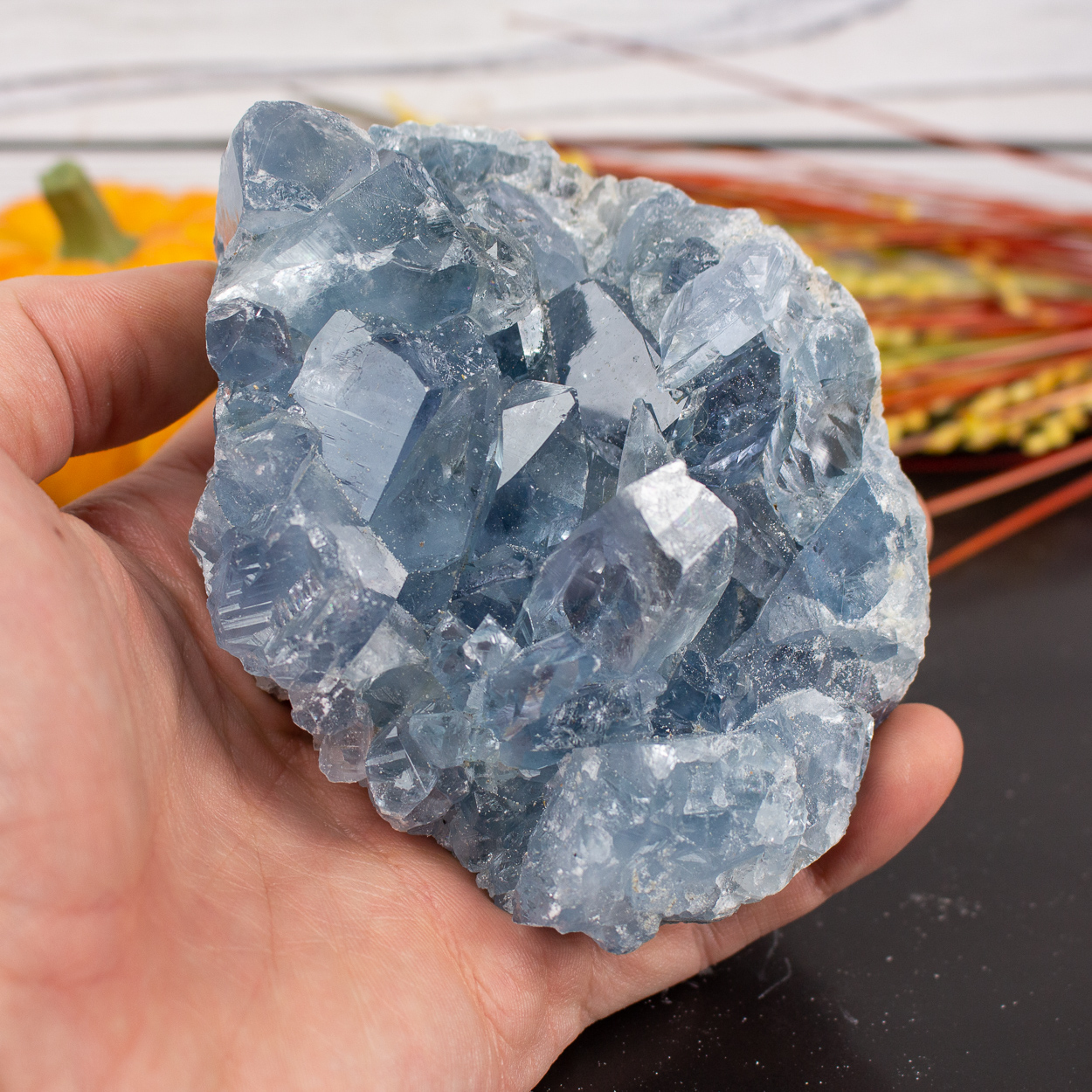 Raw Celestite #5 - The Crystal Council