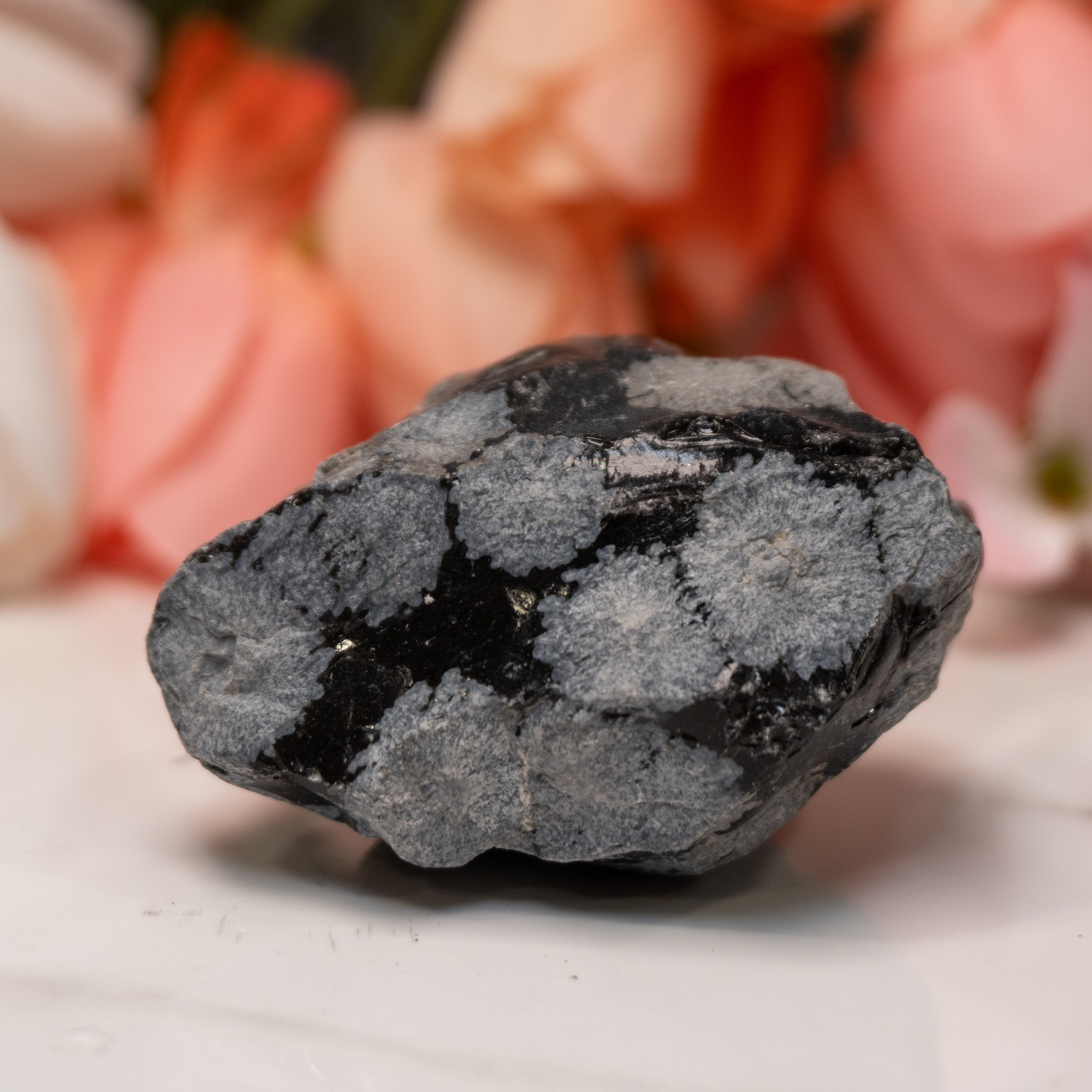 Snowflake Obsidian Raw #3 - The Crystal Council