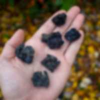 Baby Icelandic Lava - The Crystal Council