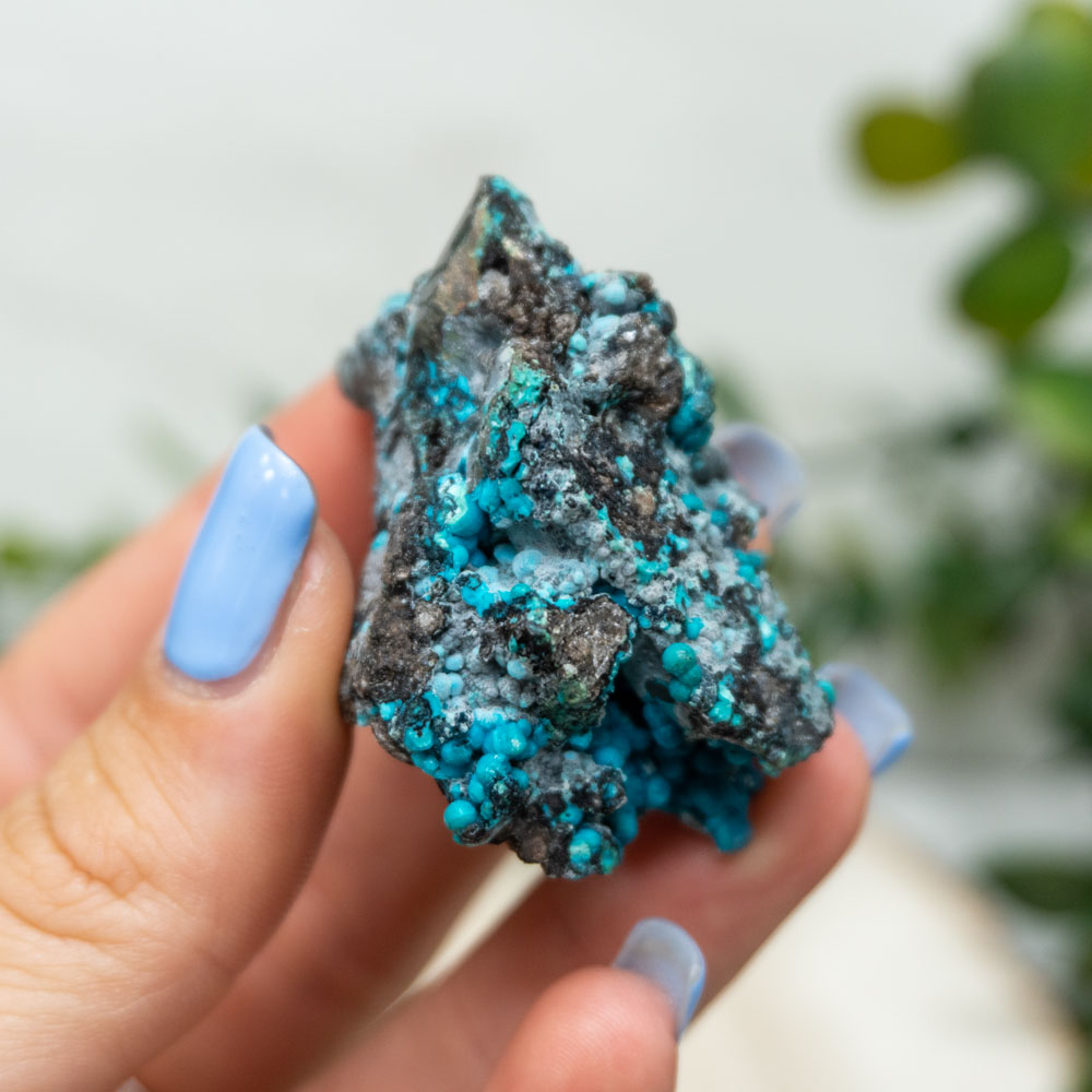 Quantum Quattro #8 - The Crystal Council