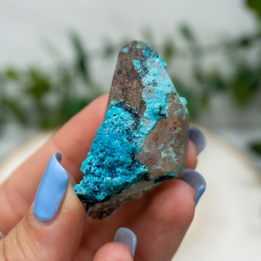 Quantum Quattro #7 - The Crystal Council