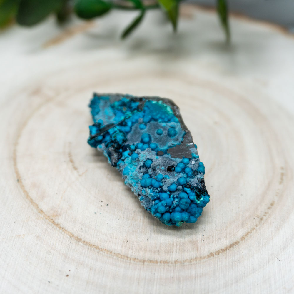 Quantum Quattro #5 - The Crystal Council