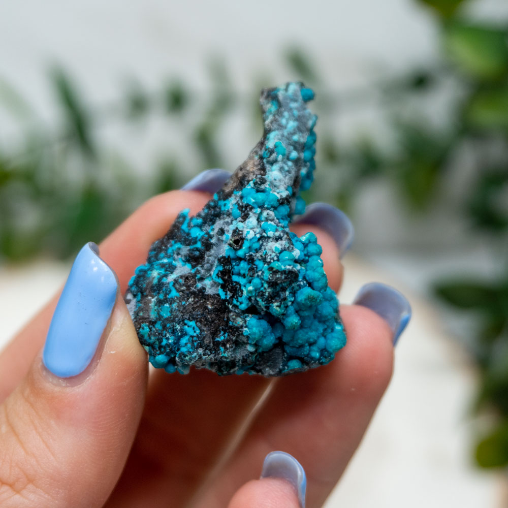 Quantum Quattro #4 - The Crystal Council