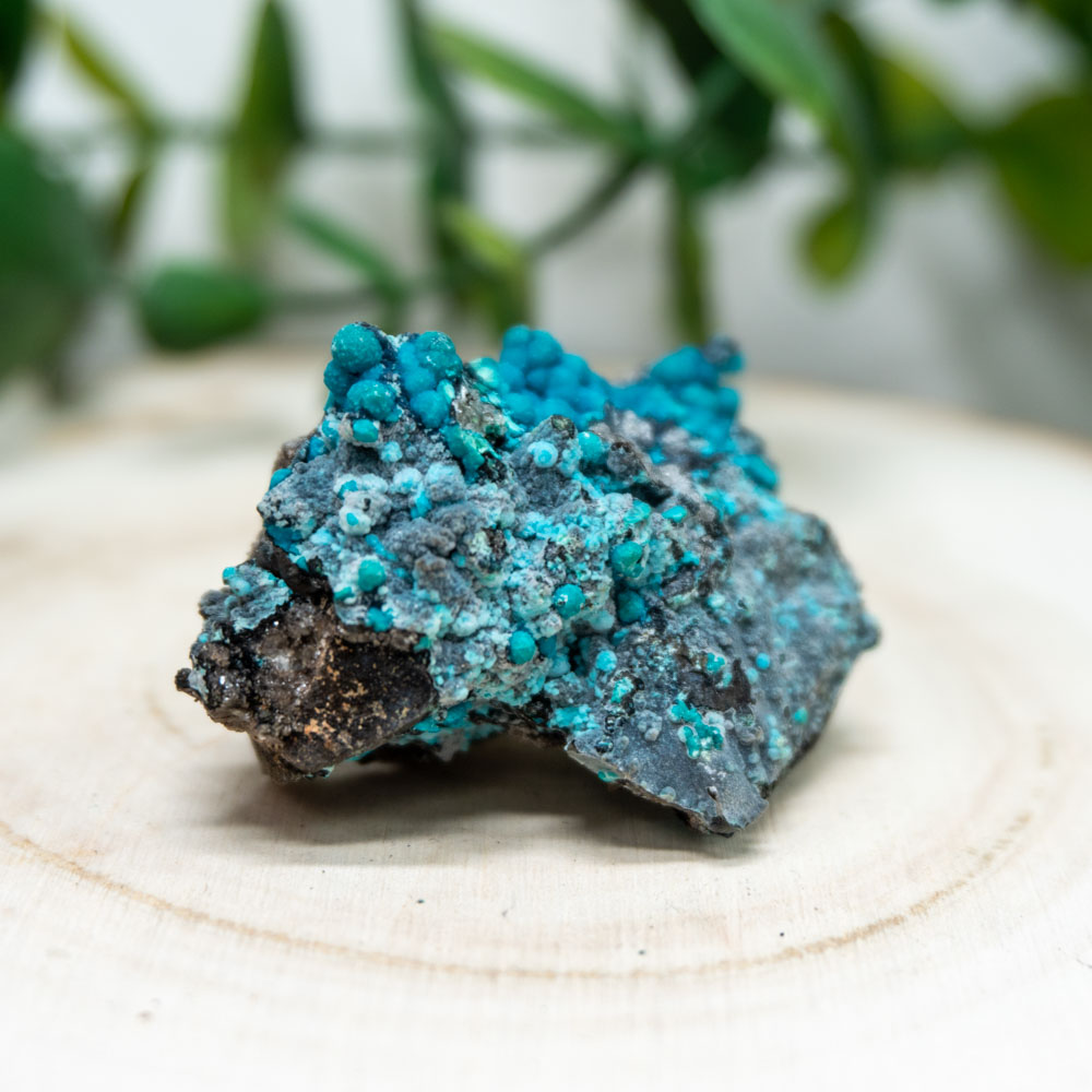 Quantum Quattro #3 - The Crystal Council