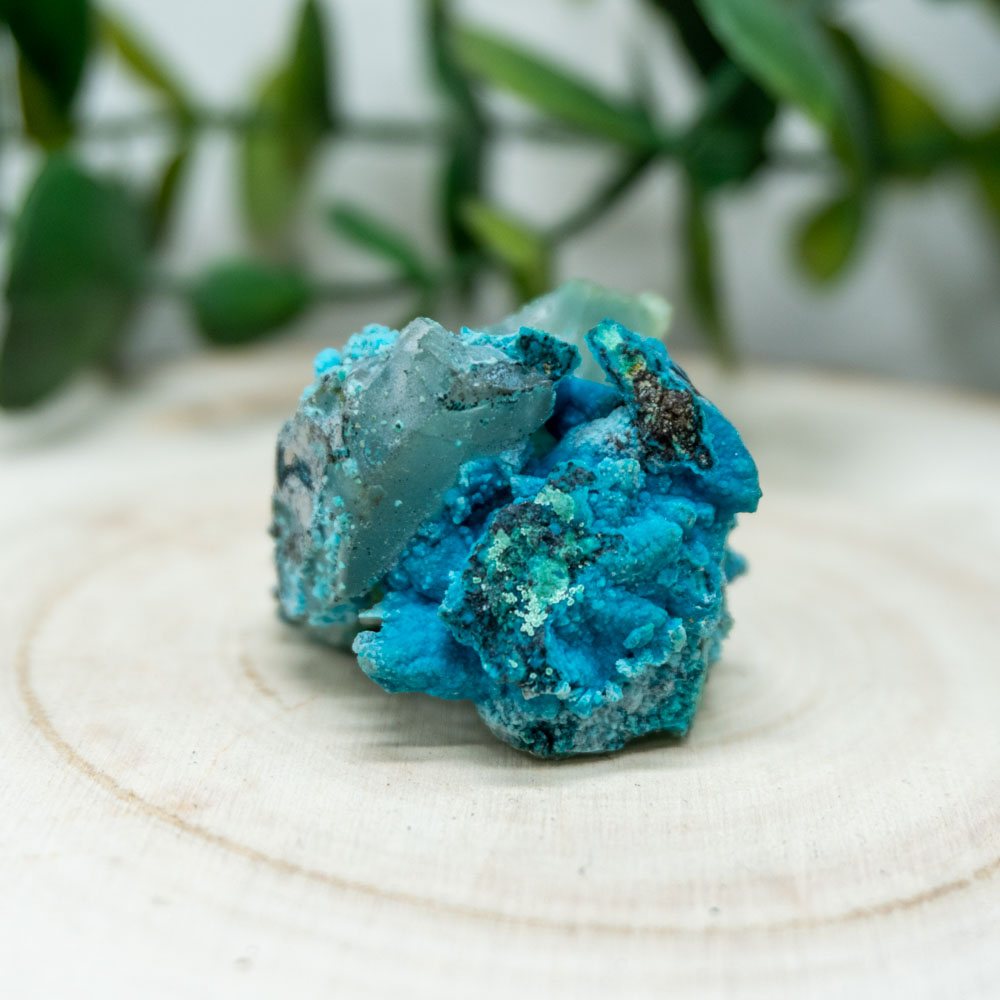 Quantum Quattro #2 - The Crystal Council