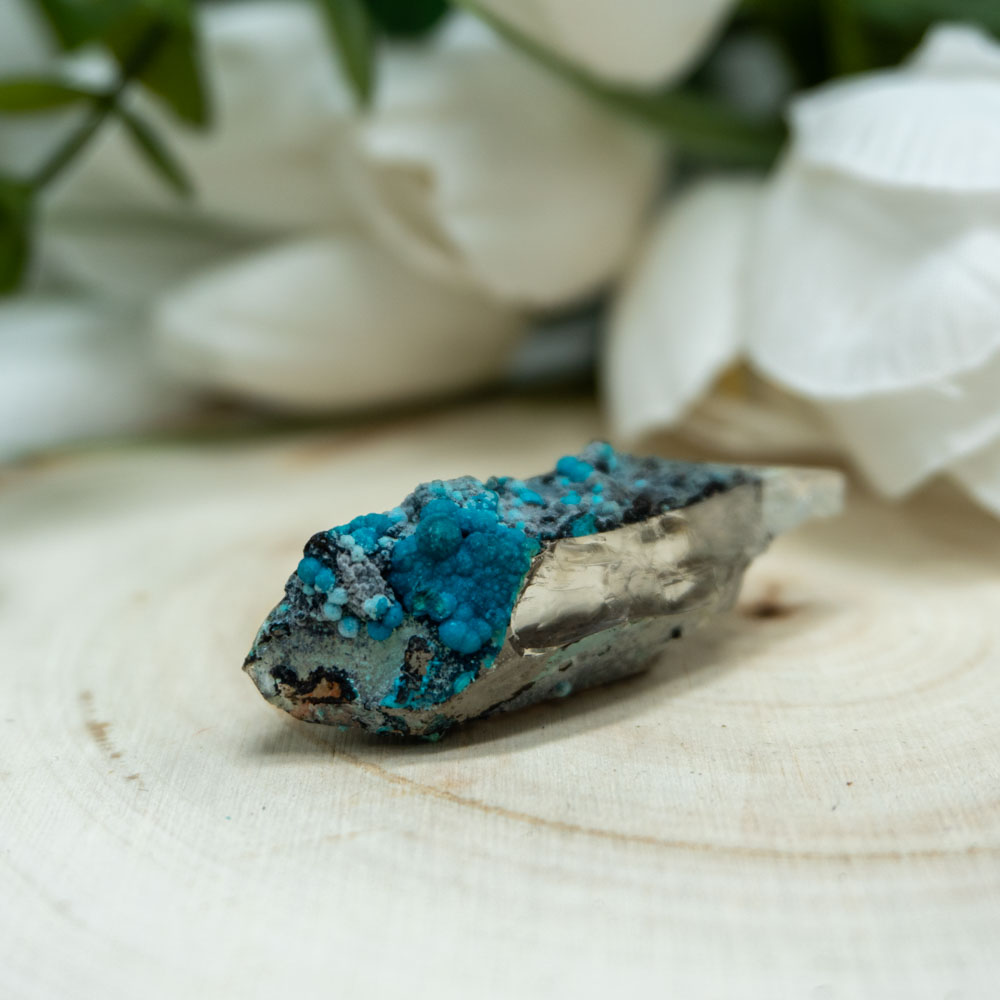 Quantum Quattro #1 - The Crystal Council