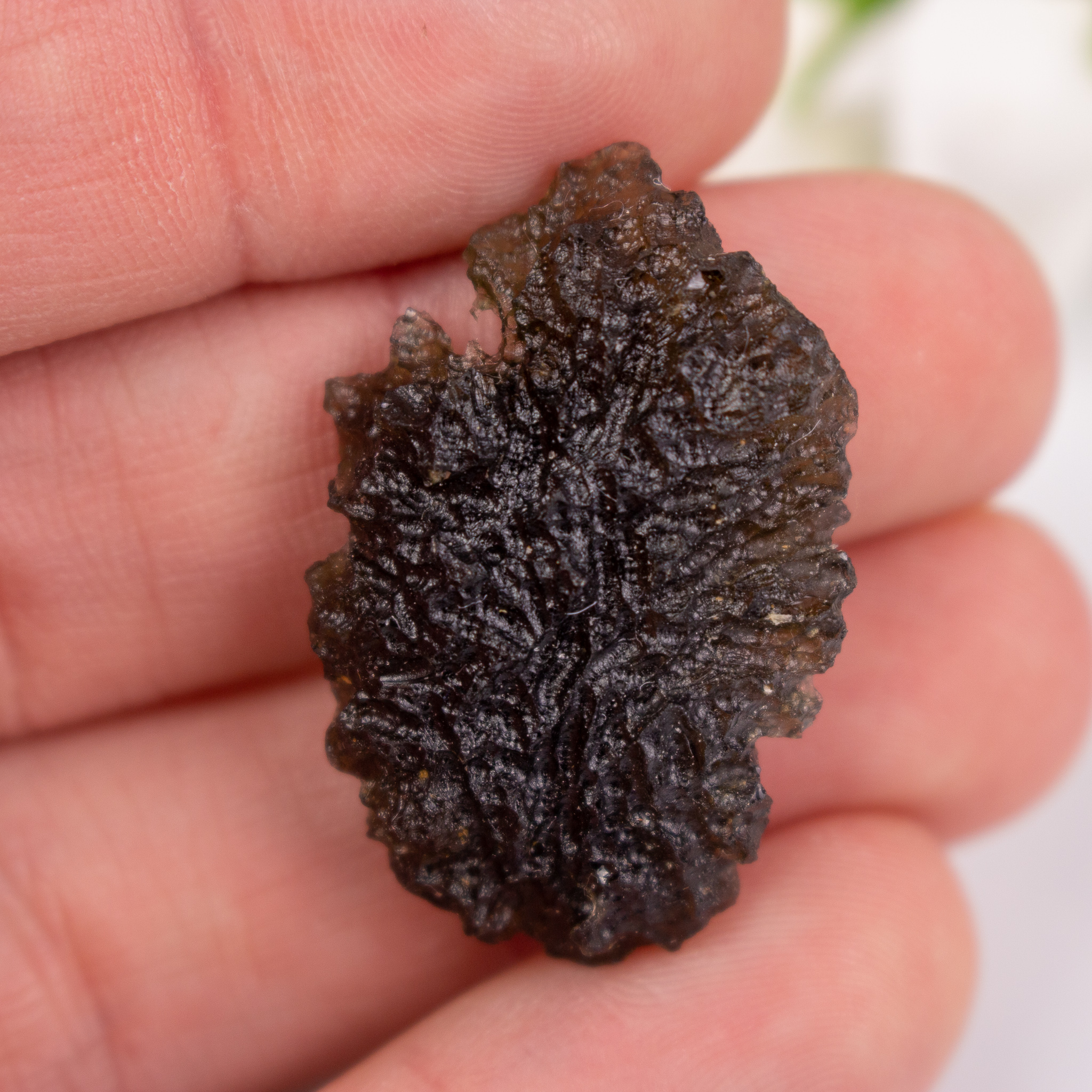 Moldavite 6.1g - The Crystal Council