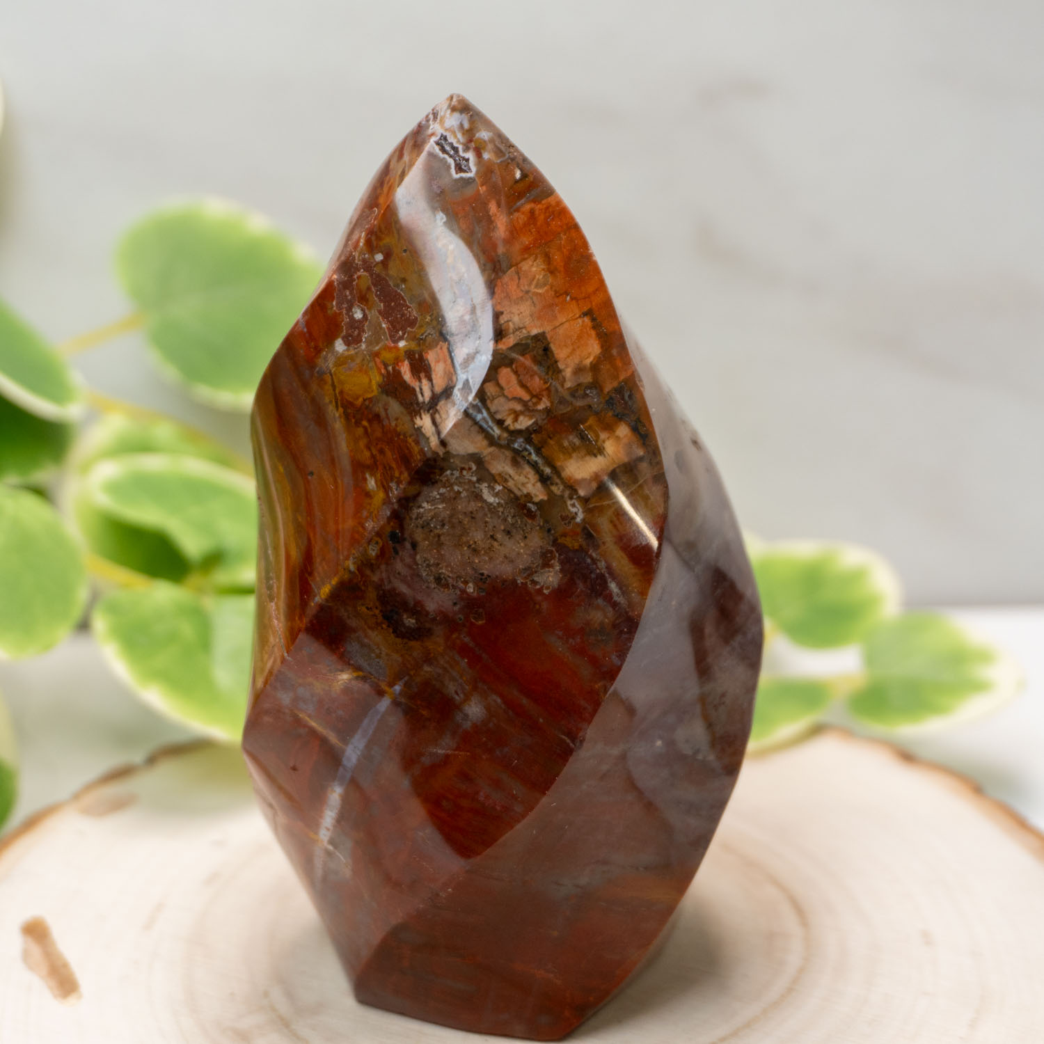 Petrified Wood Flame #1 - The Crystal Council