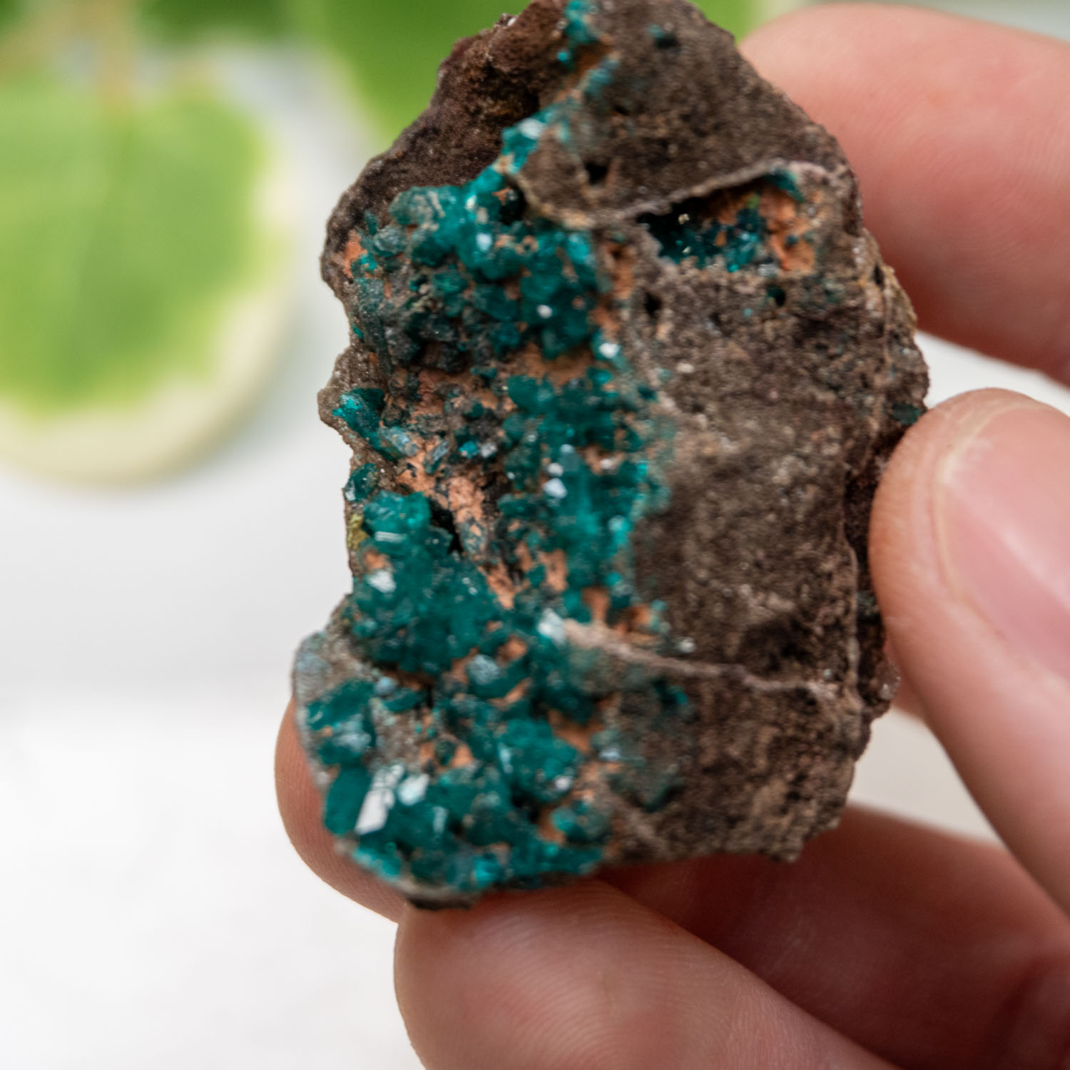 Dioptase with Hemimorphite #3 - The Crystal Council