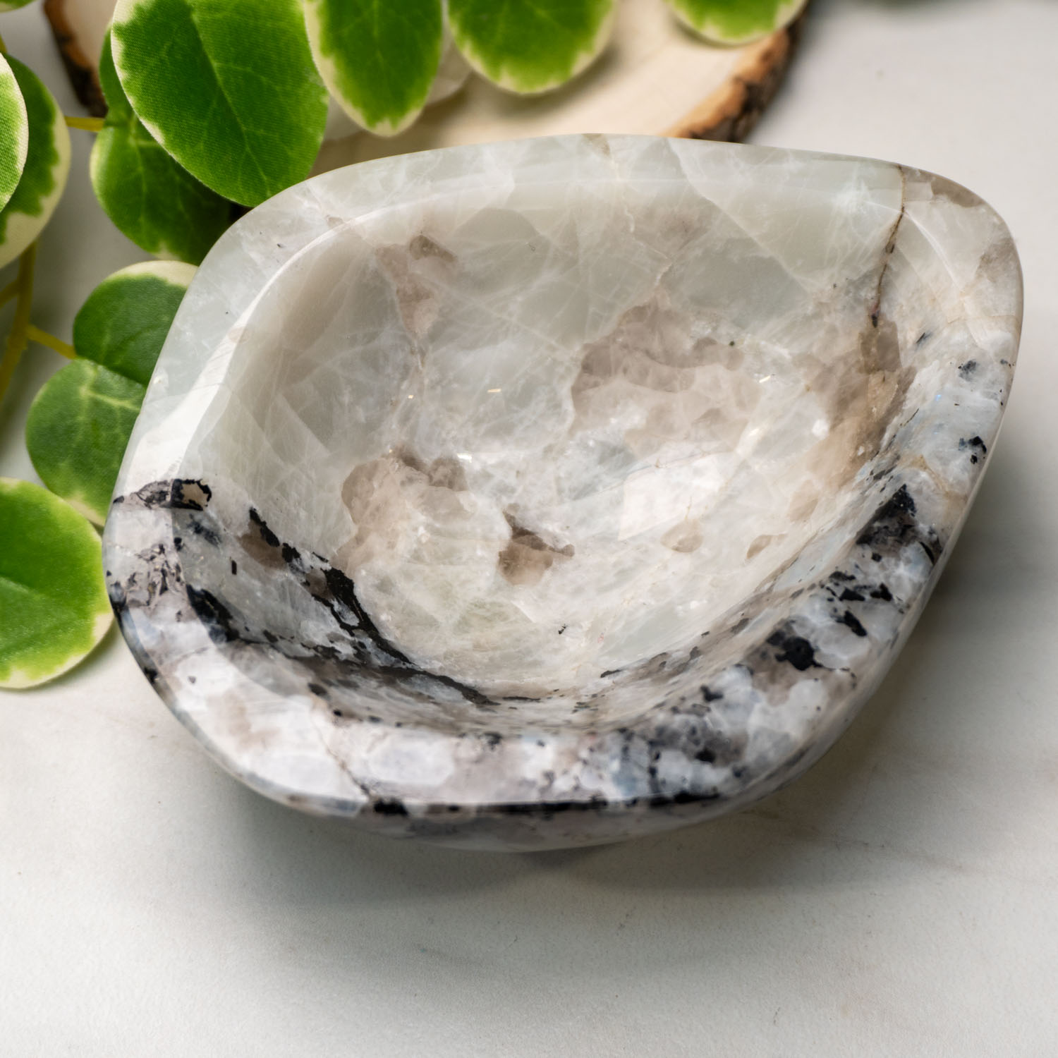 Rainbow Moonstone in Black Tourmaline Bowl #3 - The Crystal Council