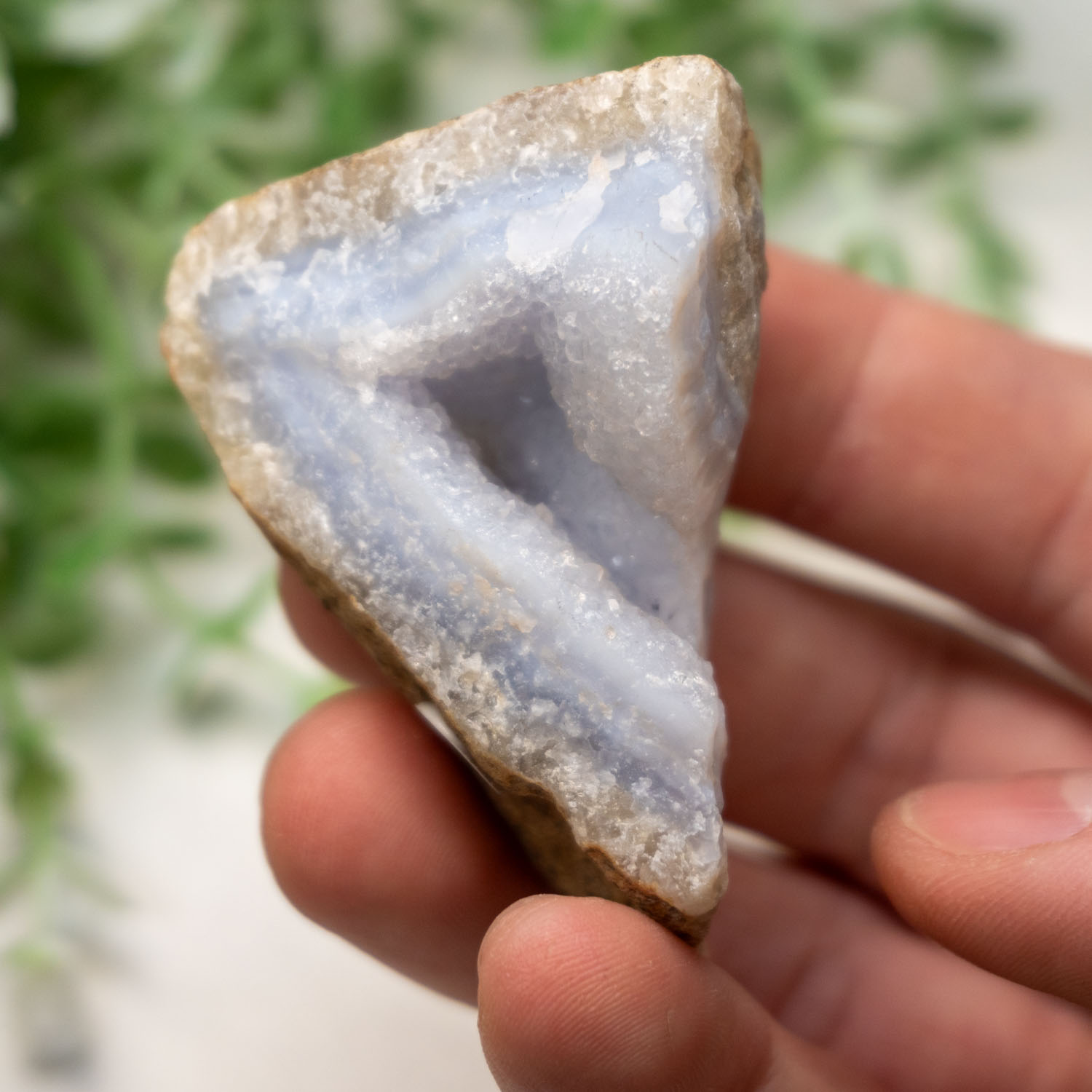 Blue Lace Agate #14 - The Crystal Council