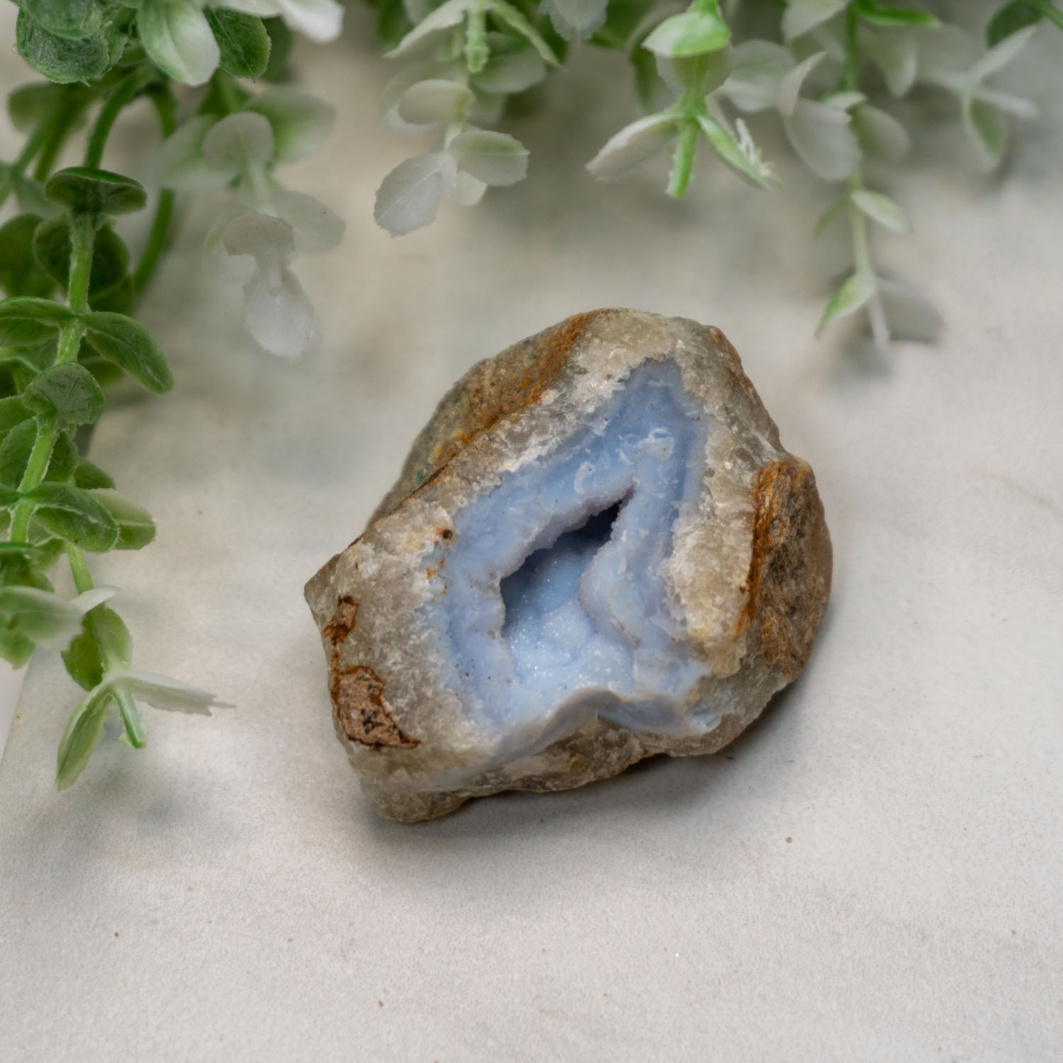 Blue Lace Agate #13 - The Crystal Council