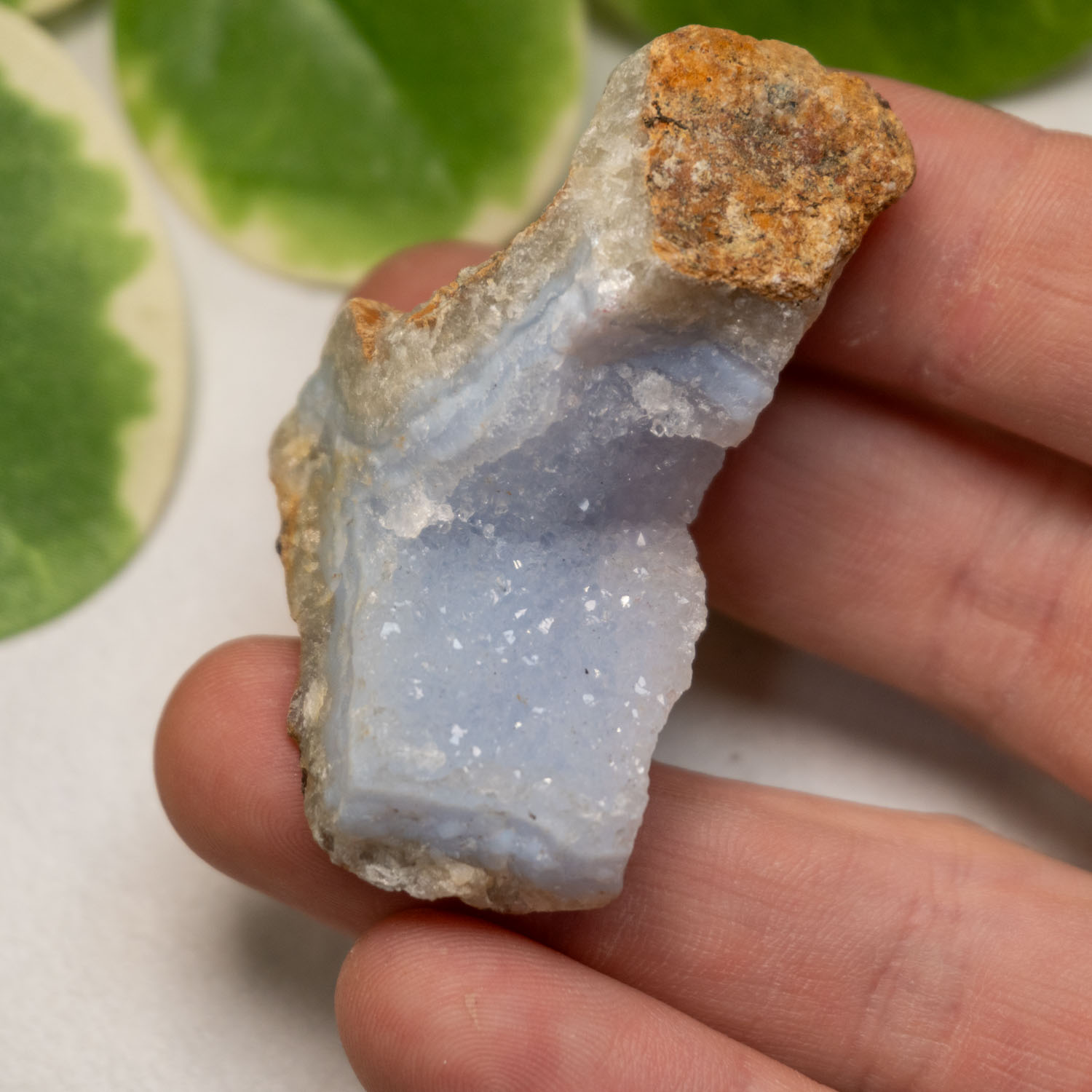 Blue Lace Agate #3 - The Crystal Council