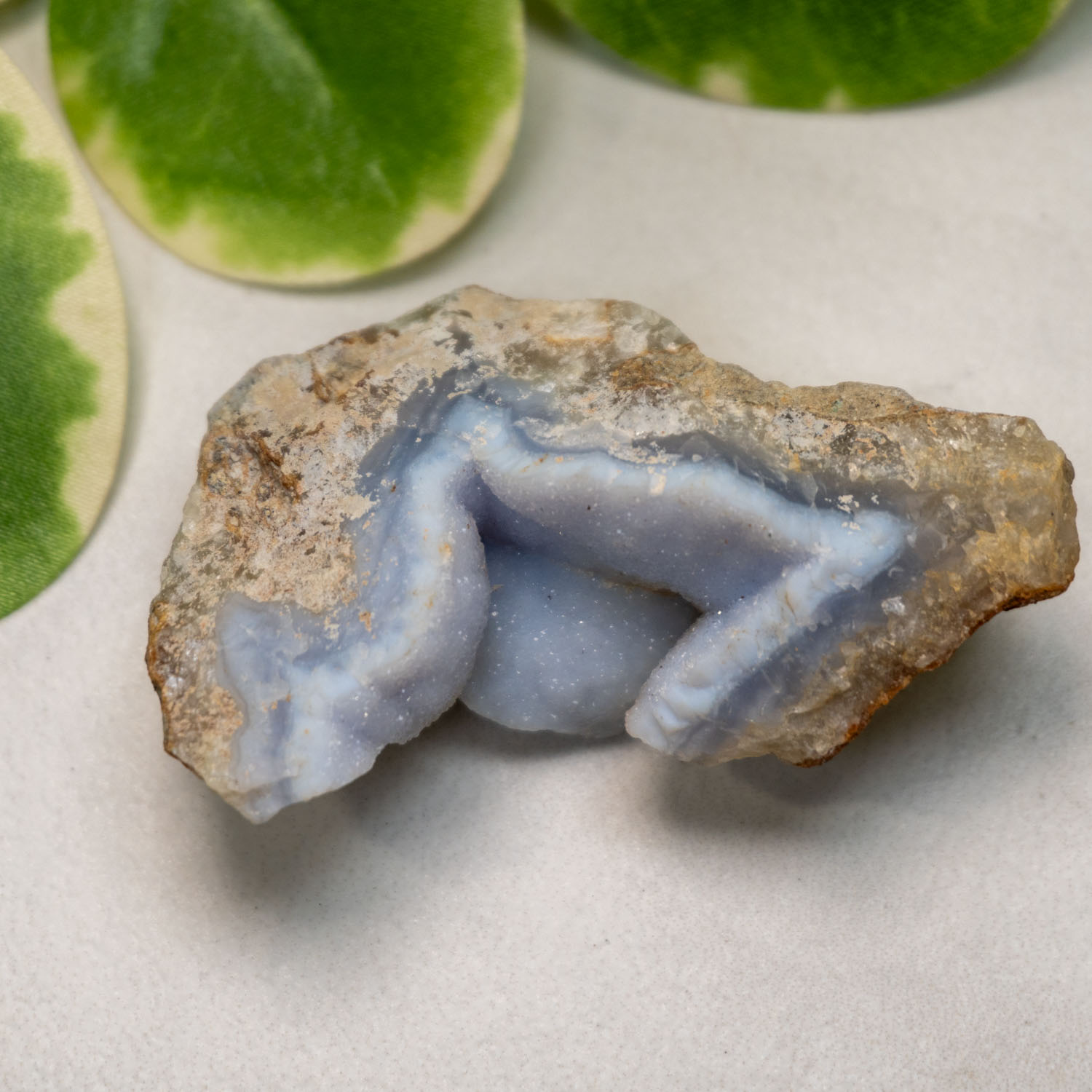 Blue Lace Agate #2 - The Crystal Council