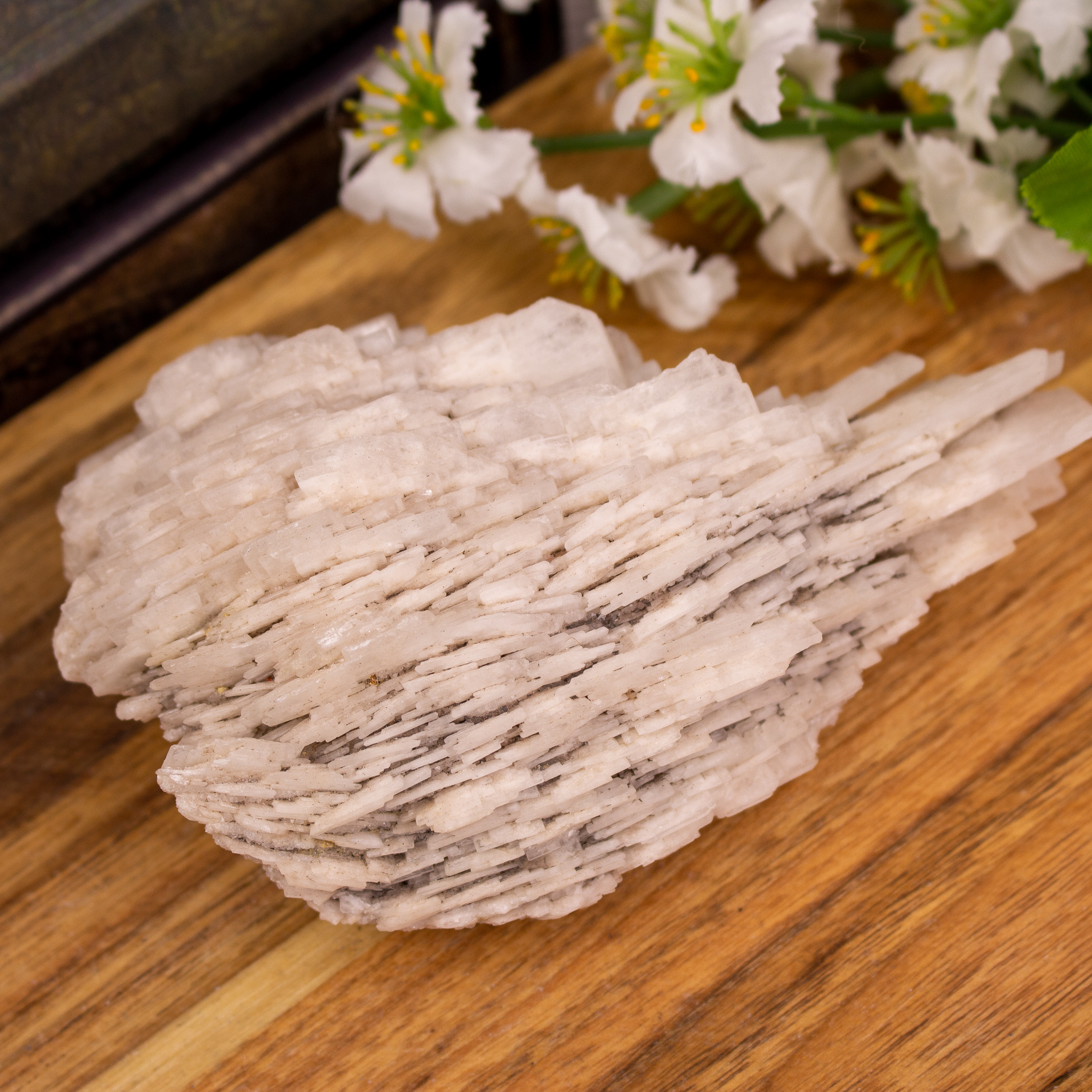 Barite blades (Angel Wings) - The Crystal Council
