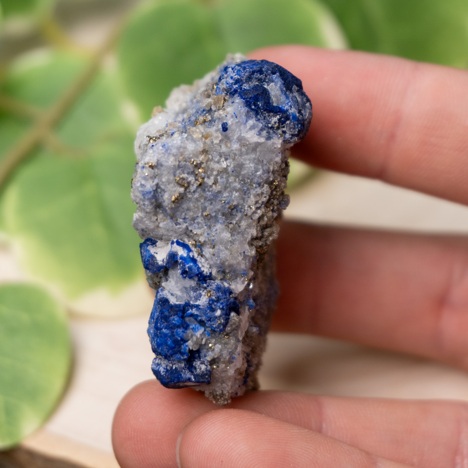 Lazurite Raw #6 - The Crystal Council