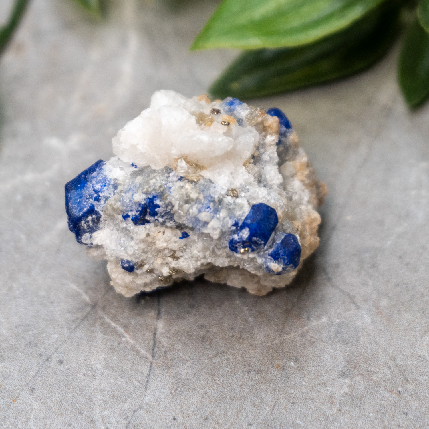 Lazurite Raw #3 - The Crystal Council