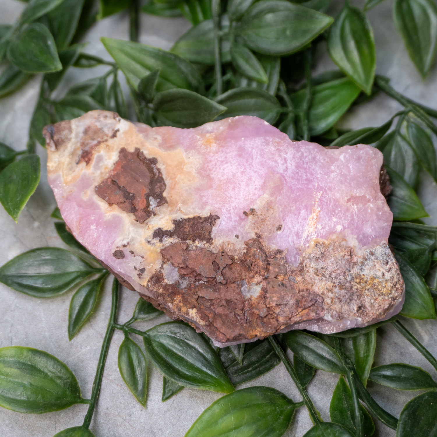 Pink Aragonite Raw #11 - The Crystal Council