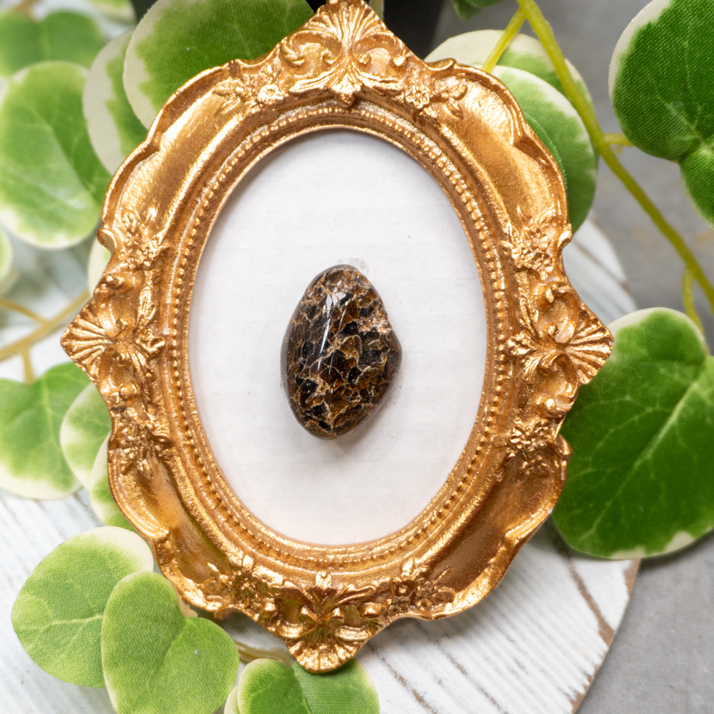 Dravite Framed Crystal - The Crystal Council