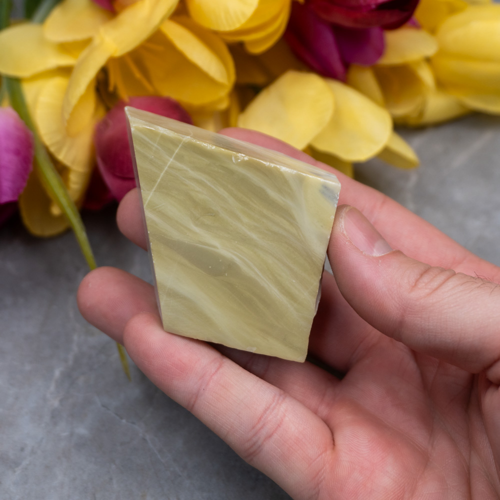 Archaeon Butterstone #1 - The Crystal Council