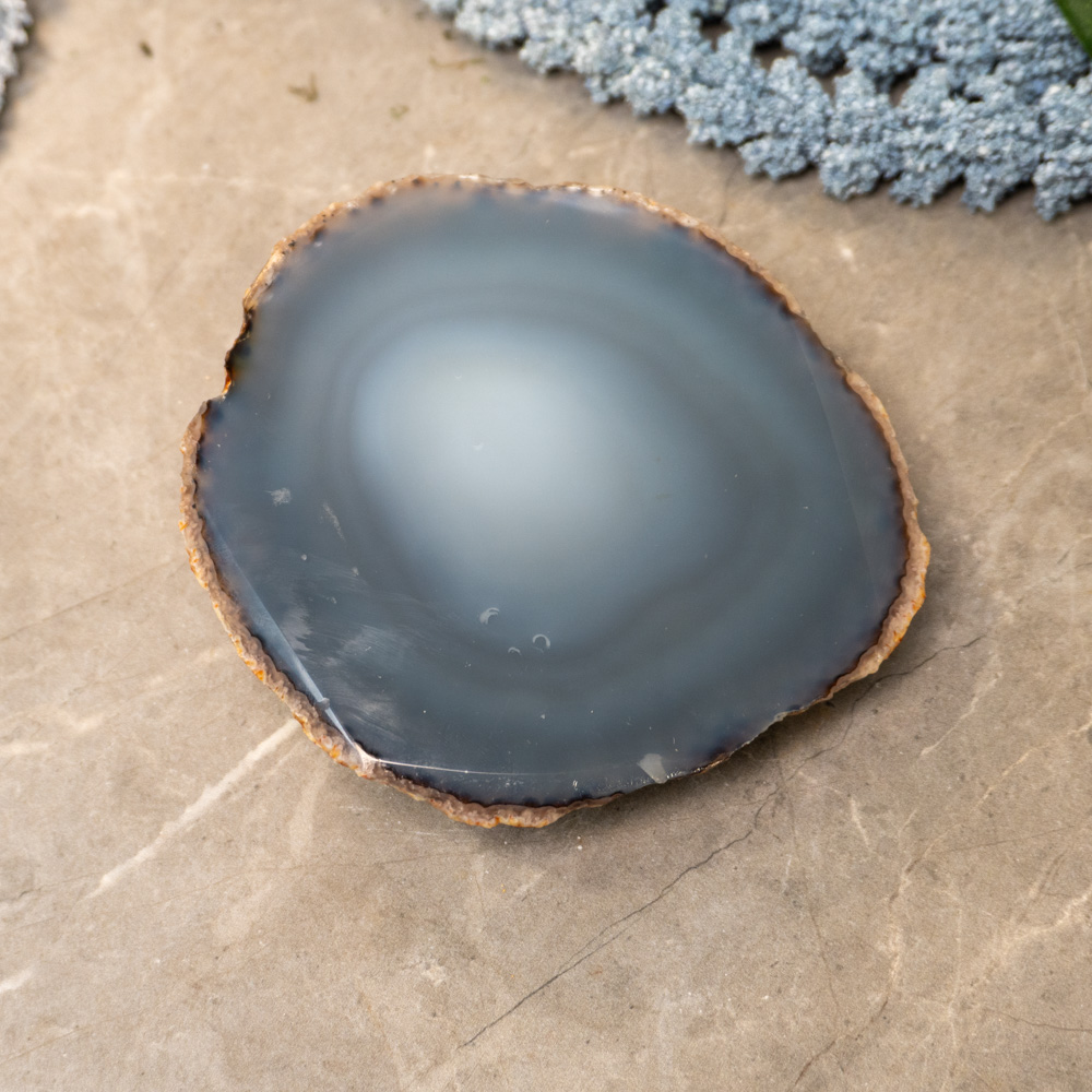 Botswana Agate Slice #1 - The Crystal Council