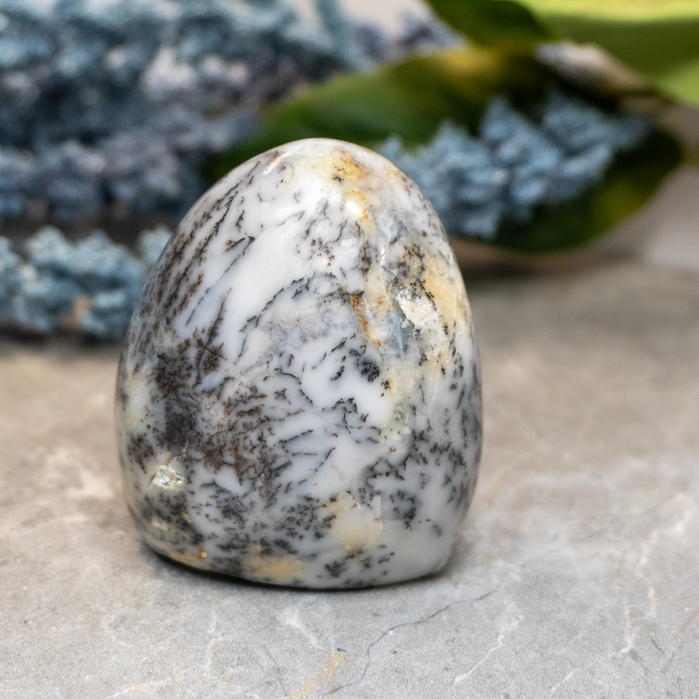 Dendritic Agate Free Form #1 - The Crystal Council