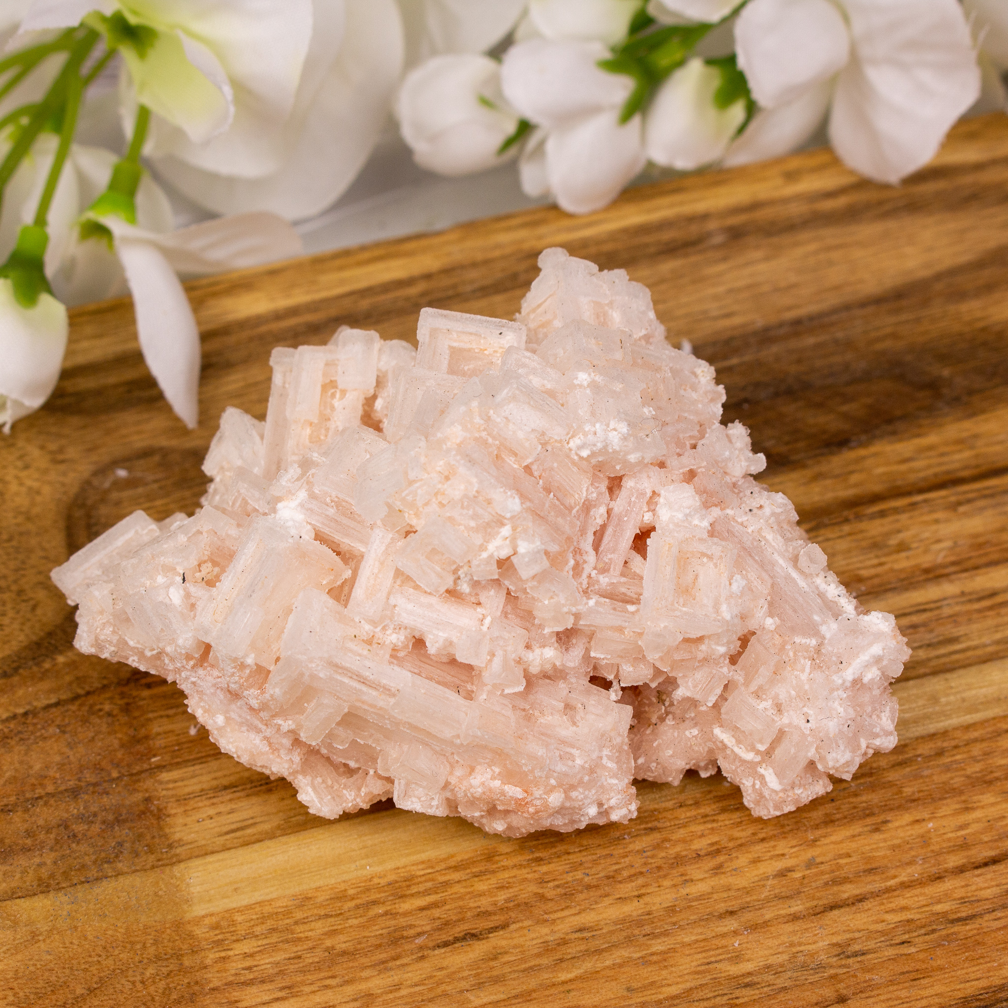 Pink Halite #1 - The Crystal Council