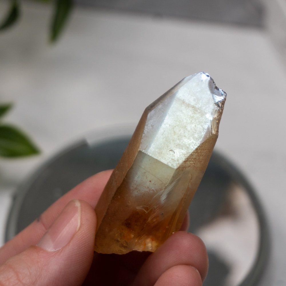Citrine Raw #8 - The Crystal Council