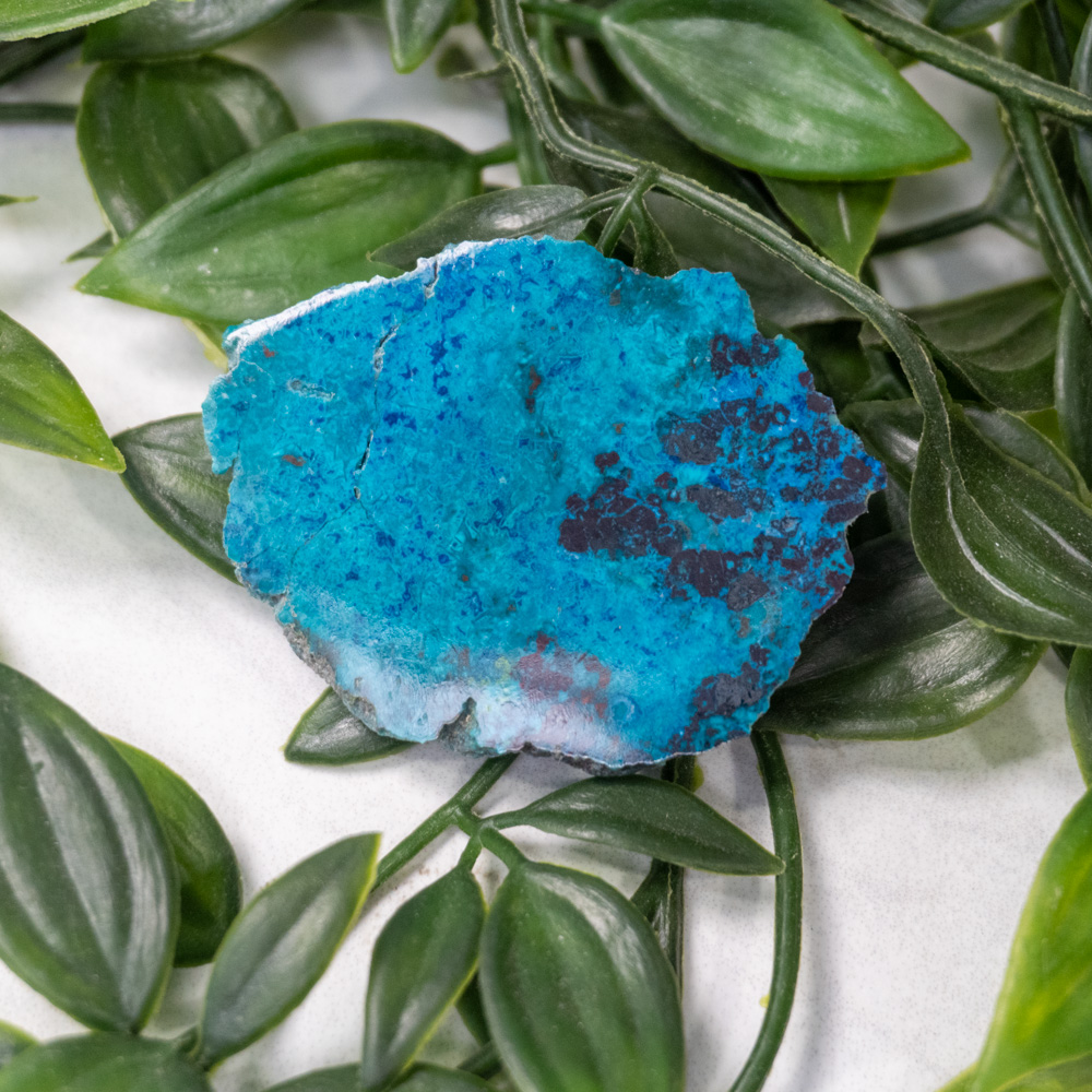 Shattuckite Slab with Tenorite, Azurite, and Chrysocolla Slab #12 - The ...