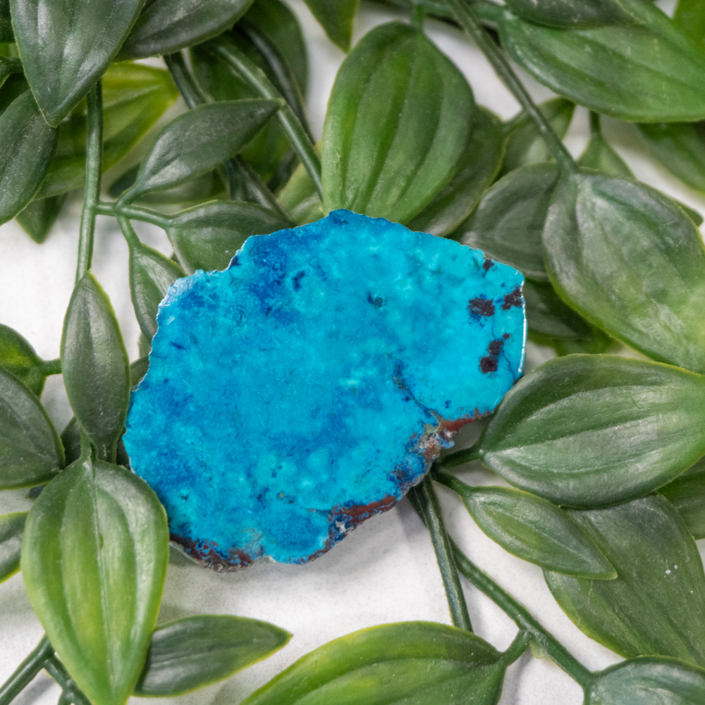 Shattuckite Slab with Tenorite, Azurite, and Chrysocolla Slab #10 - The ...