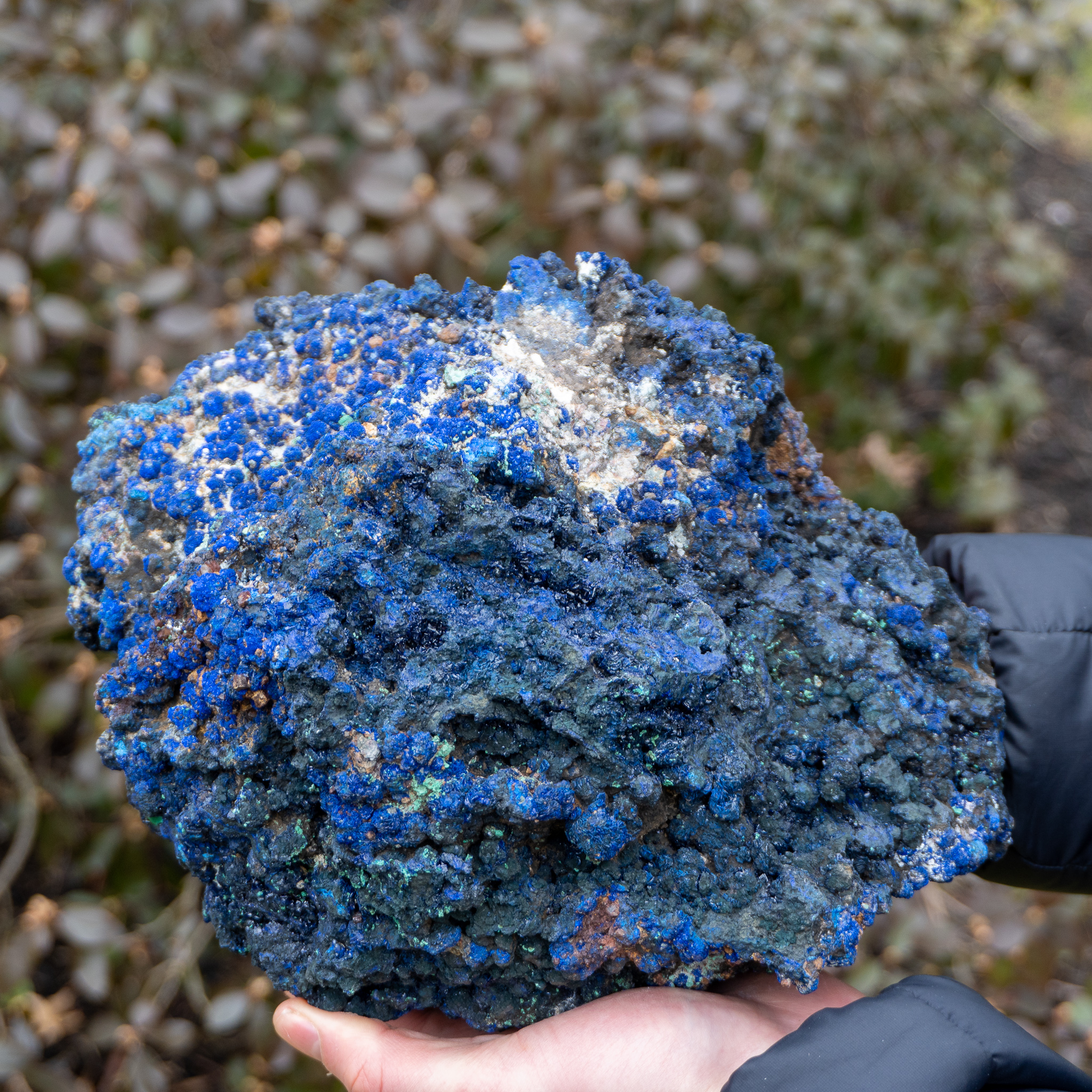 Large Azurite Ore - The Crystal Council