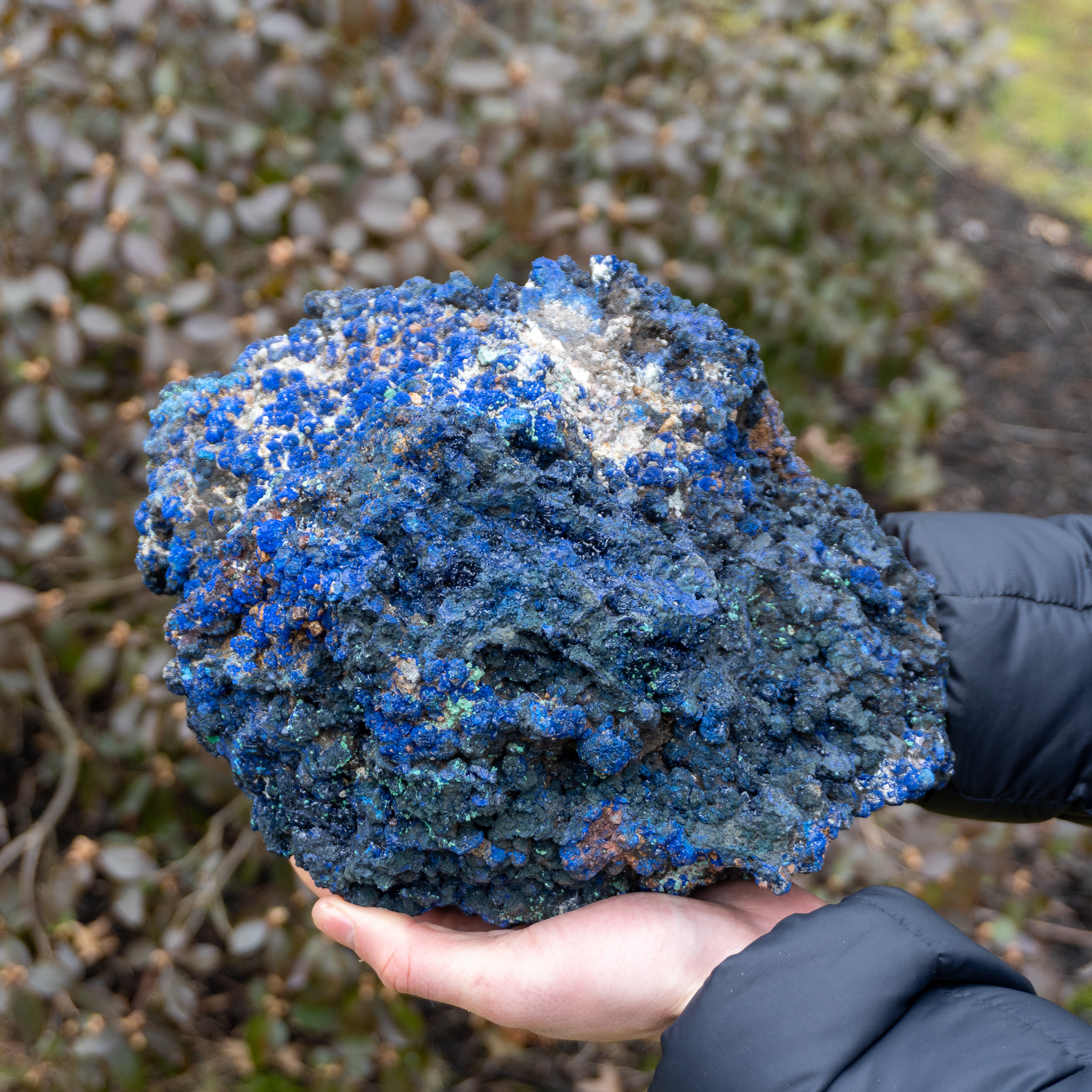 Large Azurite Ore - The Crystal Council
