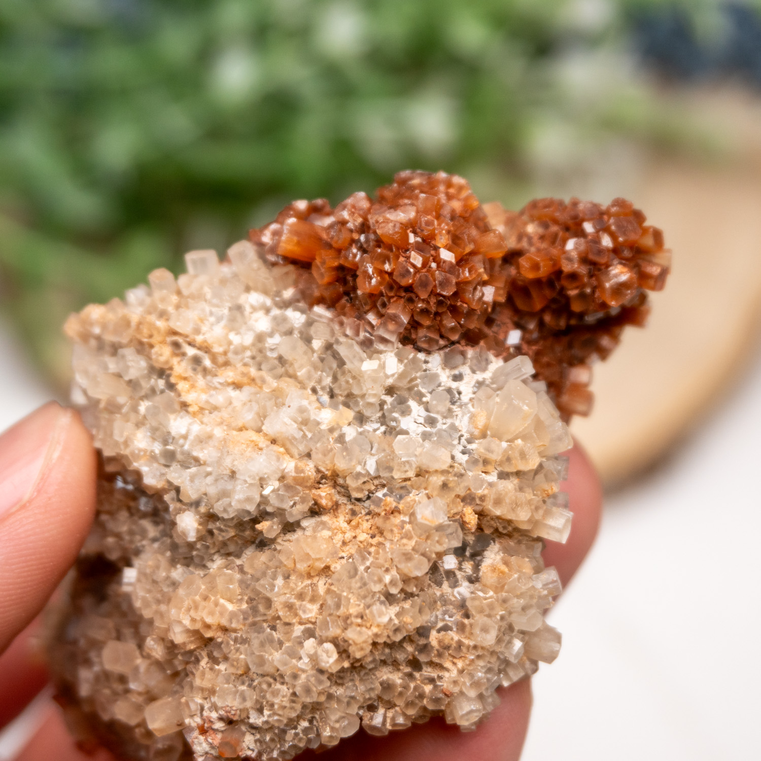 Aragonite #13 - The Crystal Council