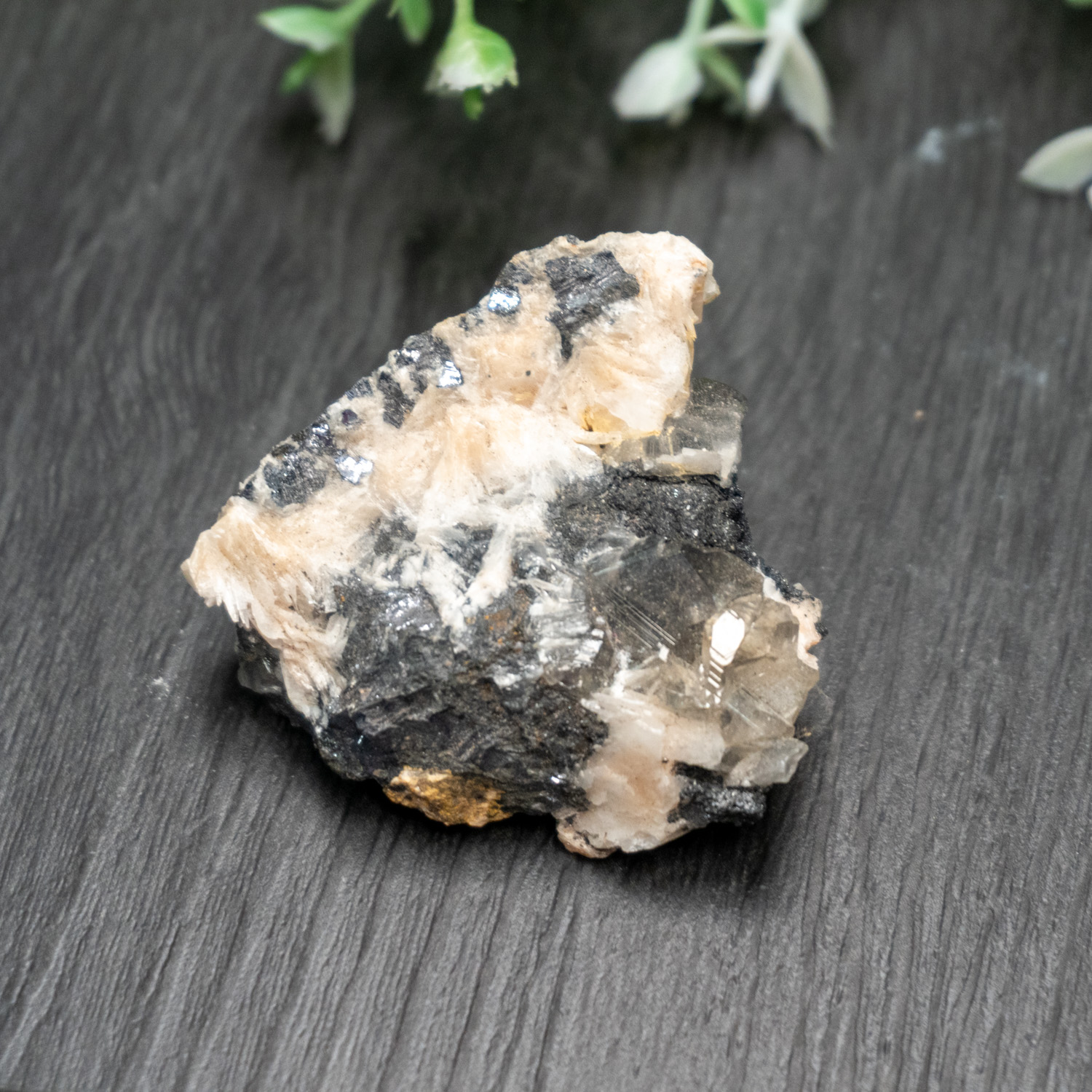 Cerussite #4 - The Crystal Council