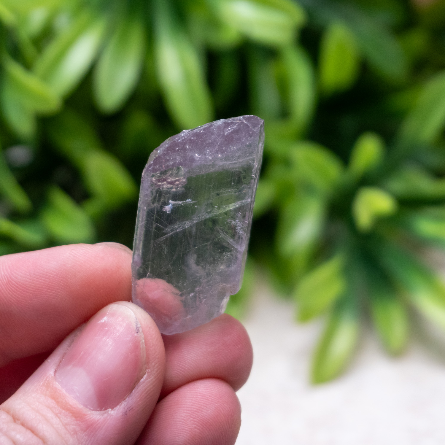 Purple Apatite #2 - The Crystal Council