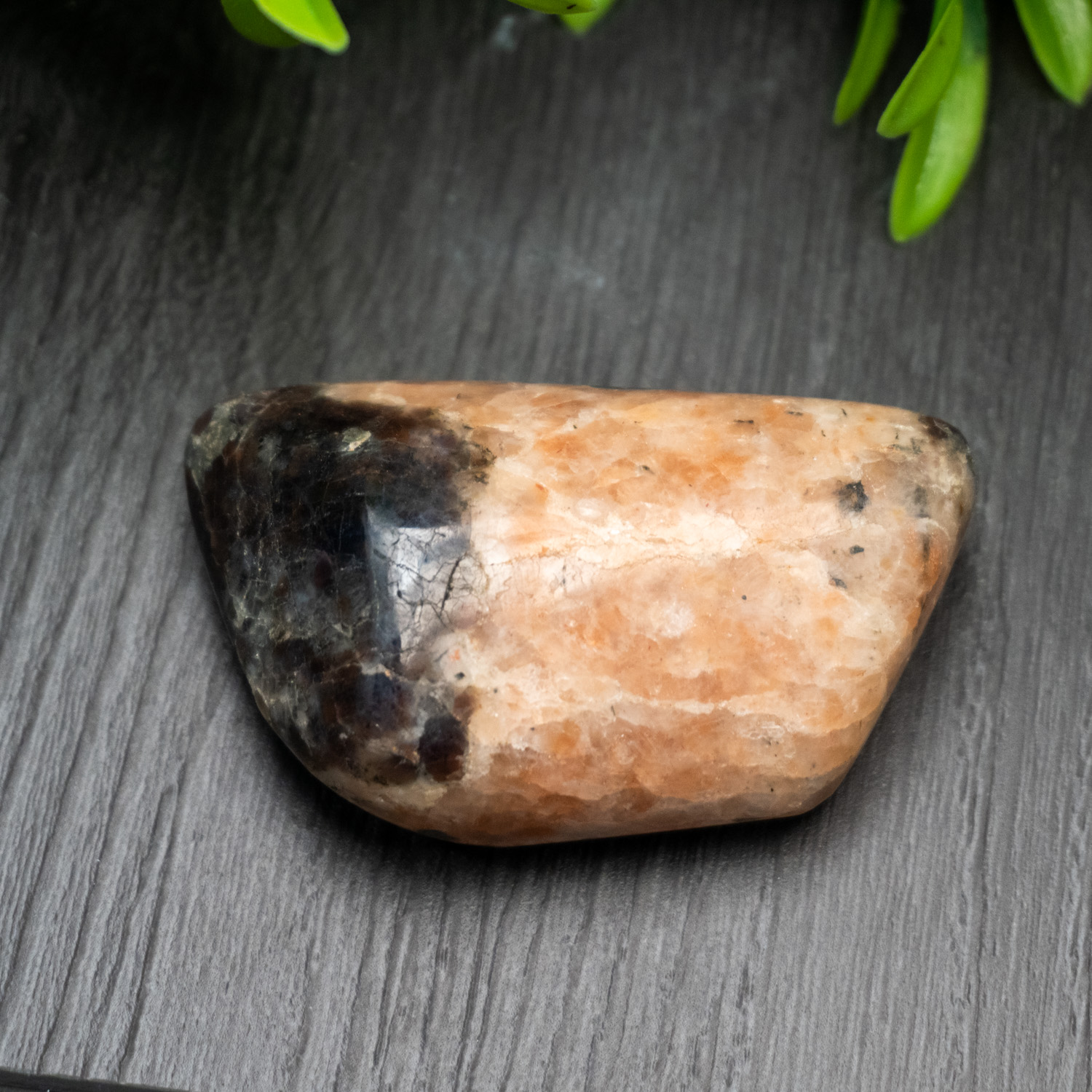 Iolite and Sunstone #11 - The Crystal Council