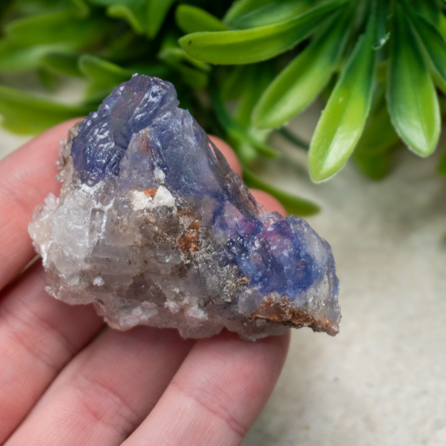 Blue Halite #3 - The Crystal Council