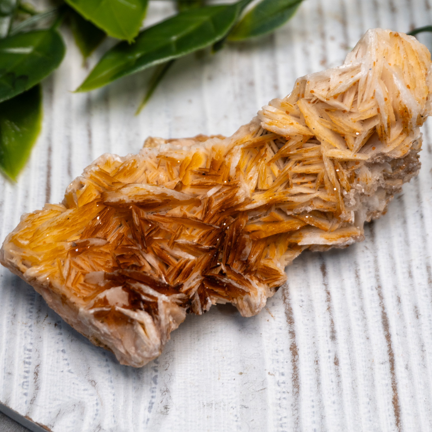 Orange Barite #2 - The Crystal Council