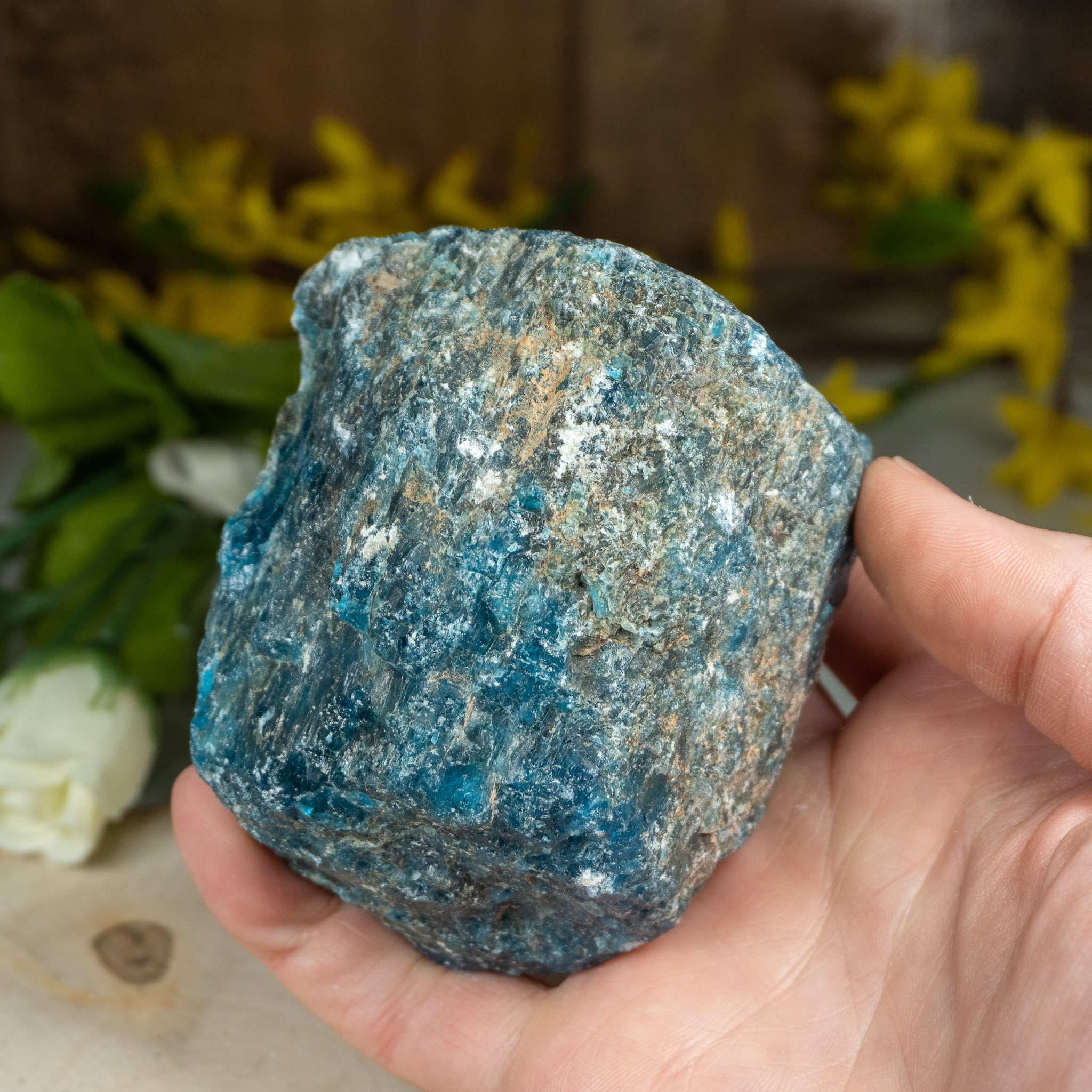 Large Raw Blue Apatite - The Crystal Council