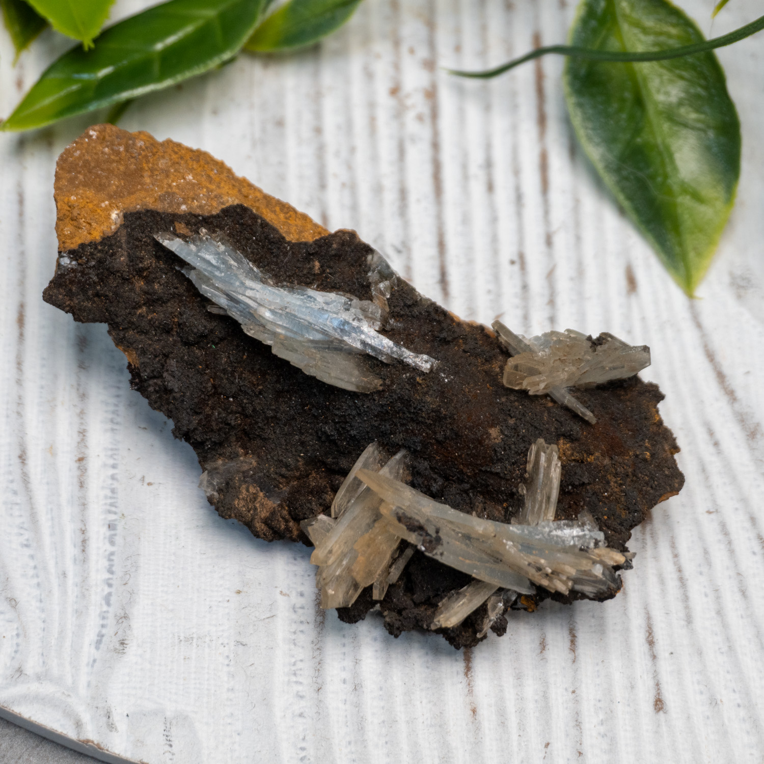 Blue Barite in Limonite #3 - The Crystal Council