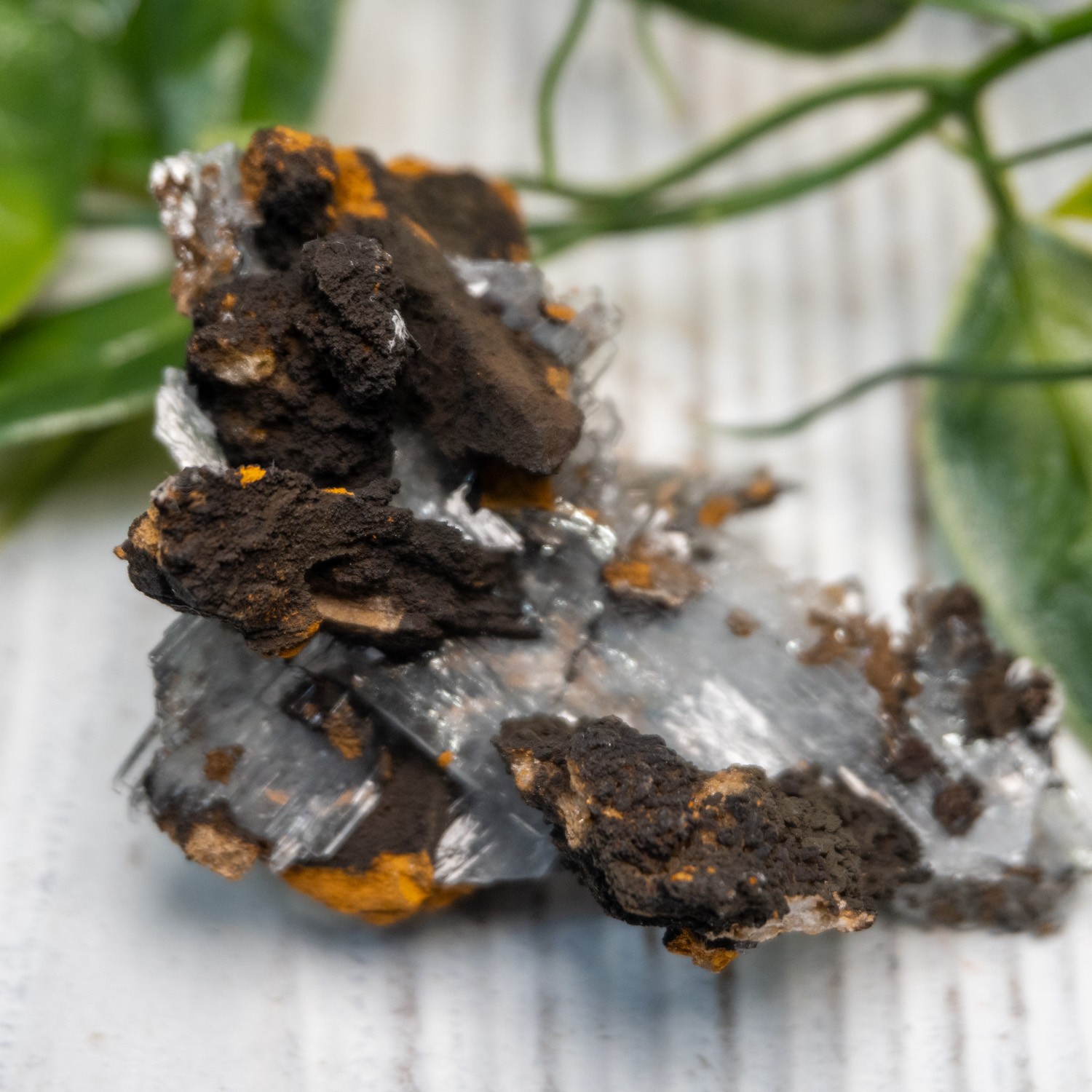 Blue Barite in Limonite #2 - The Crystal Council