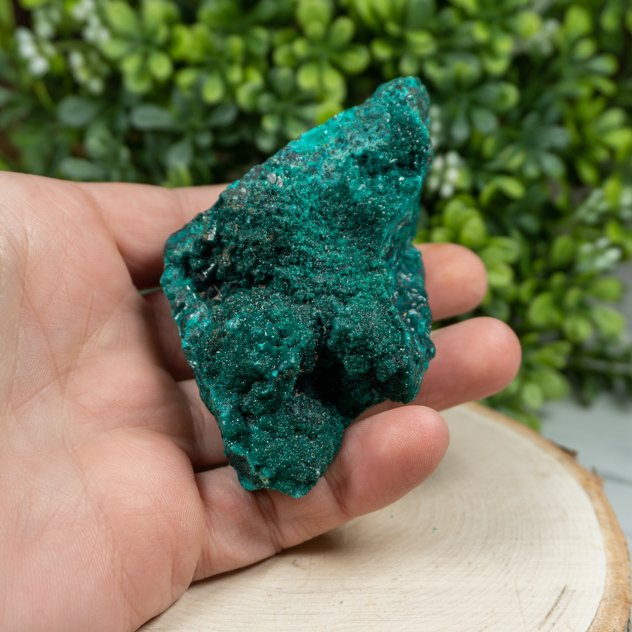 Dioptase #3 - The Crystal Council