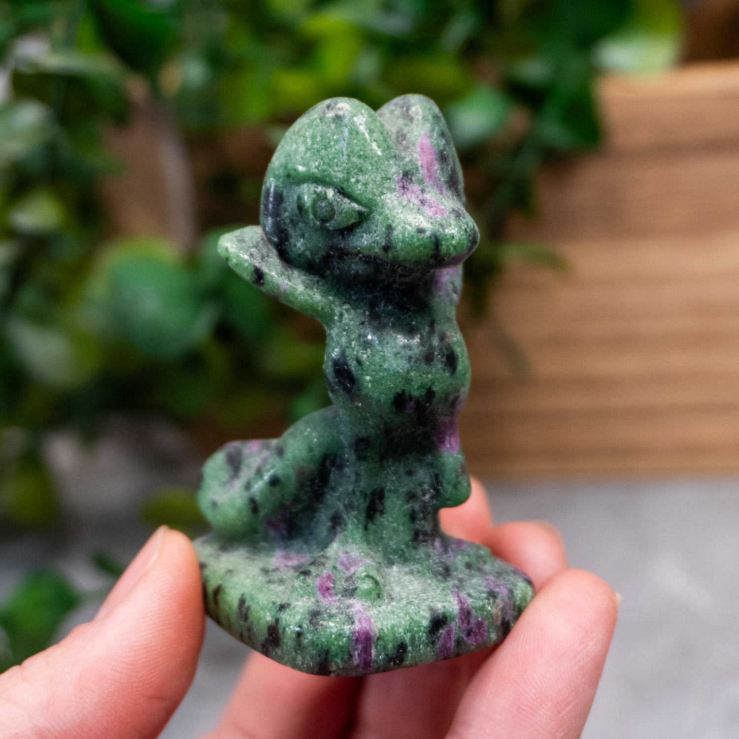 Ruby in Zoisite Treecko - The Crystal Council