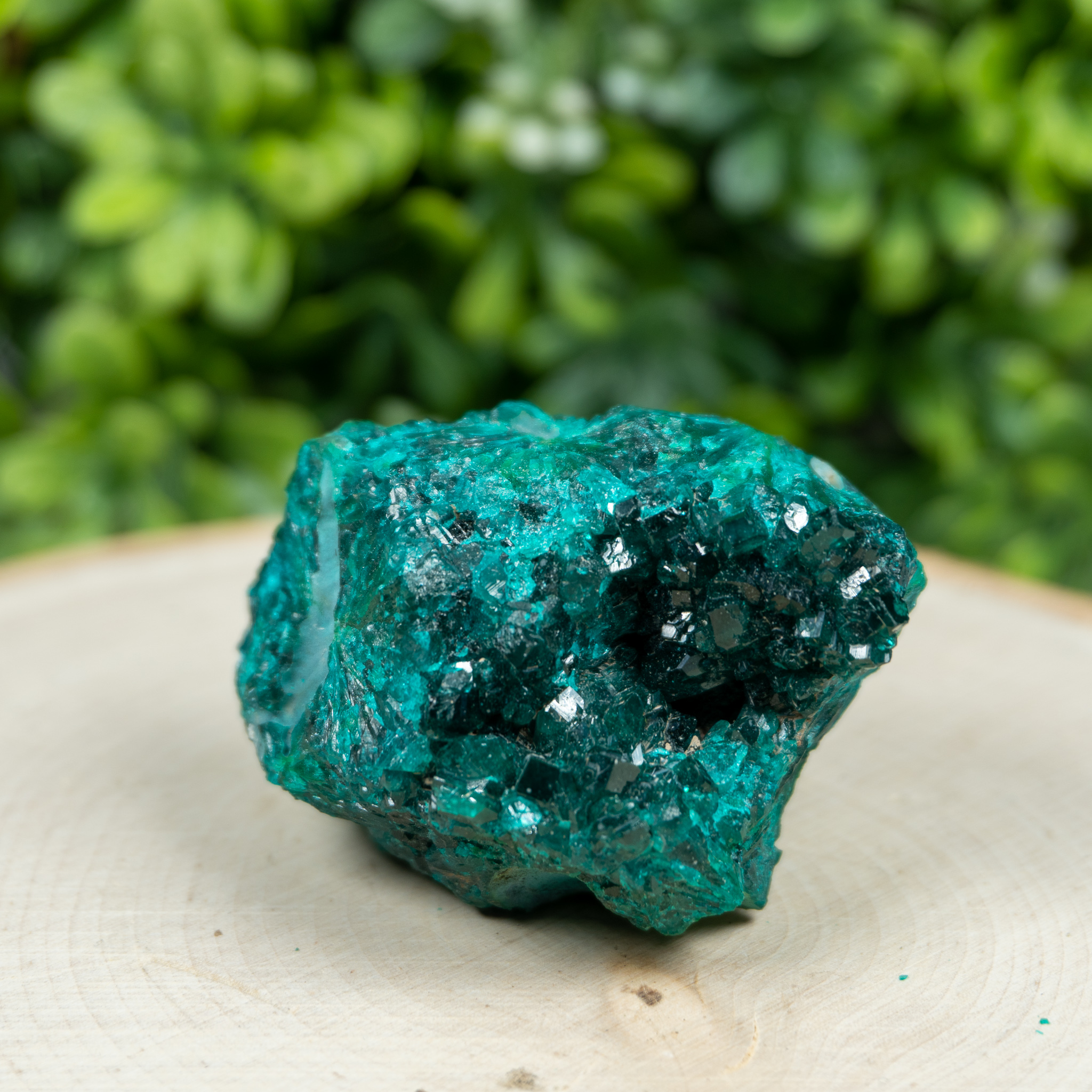 Dioptase (Gemmy) #2 - The Crystal Council