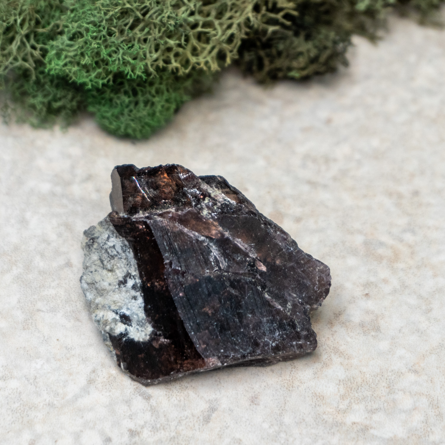 Axinite #2 - The Crystal Council