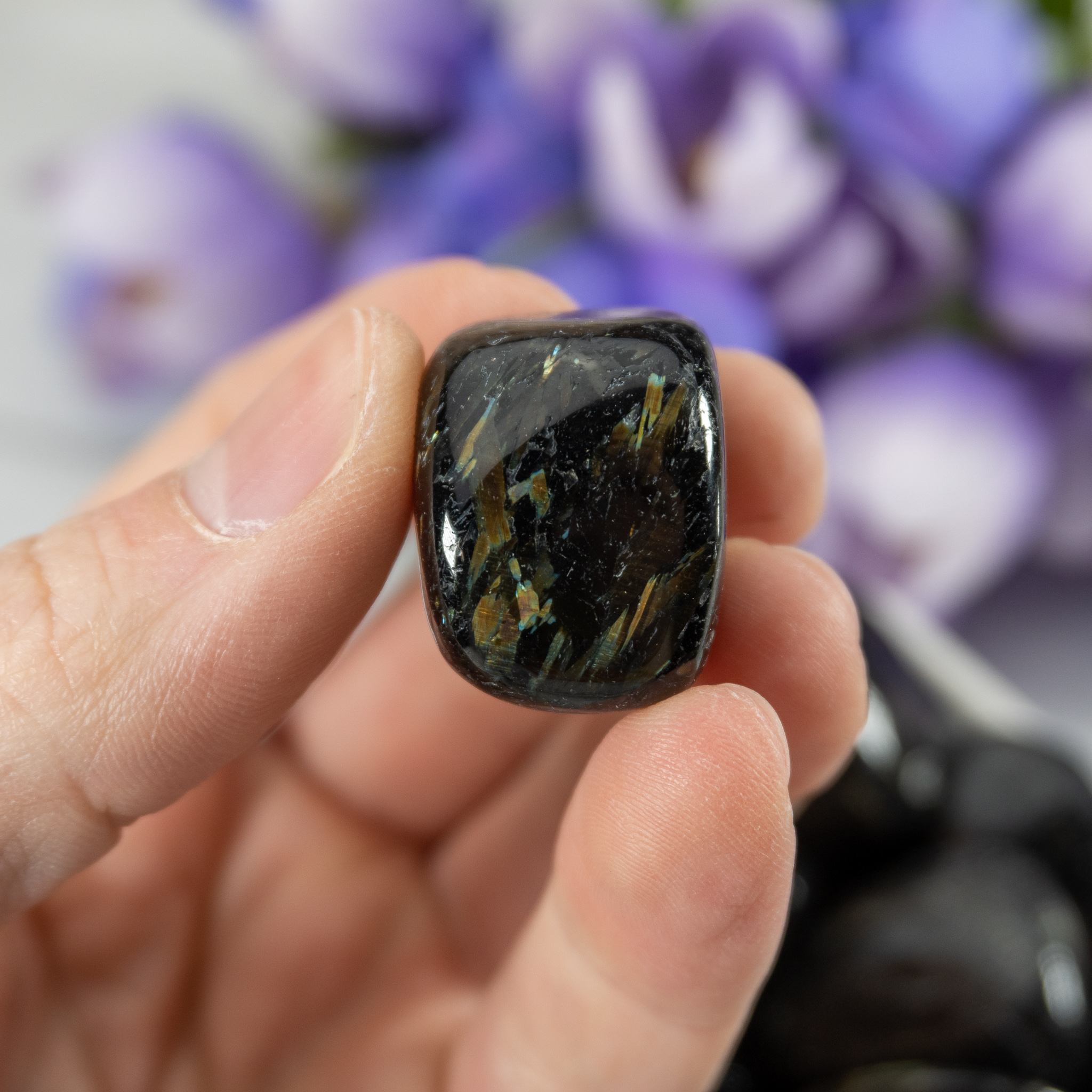 Nuummite Tumbled - The Crystal Council