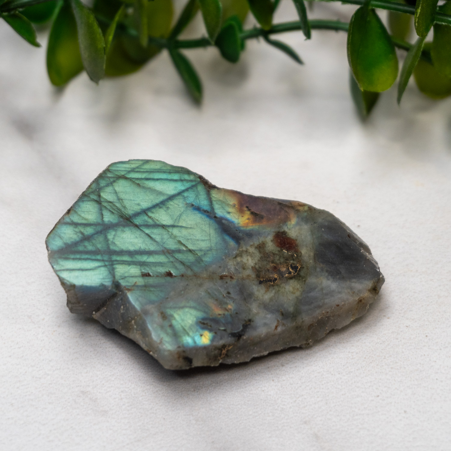 Labradorite Half Polished #6 - The Crystal Council