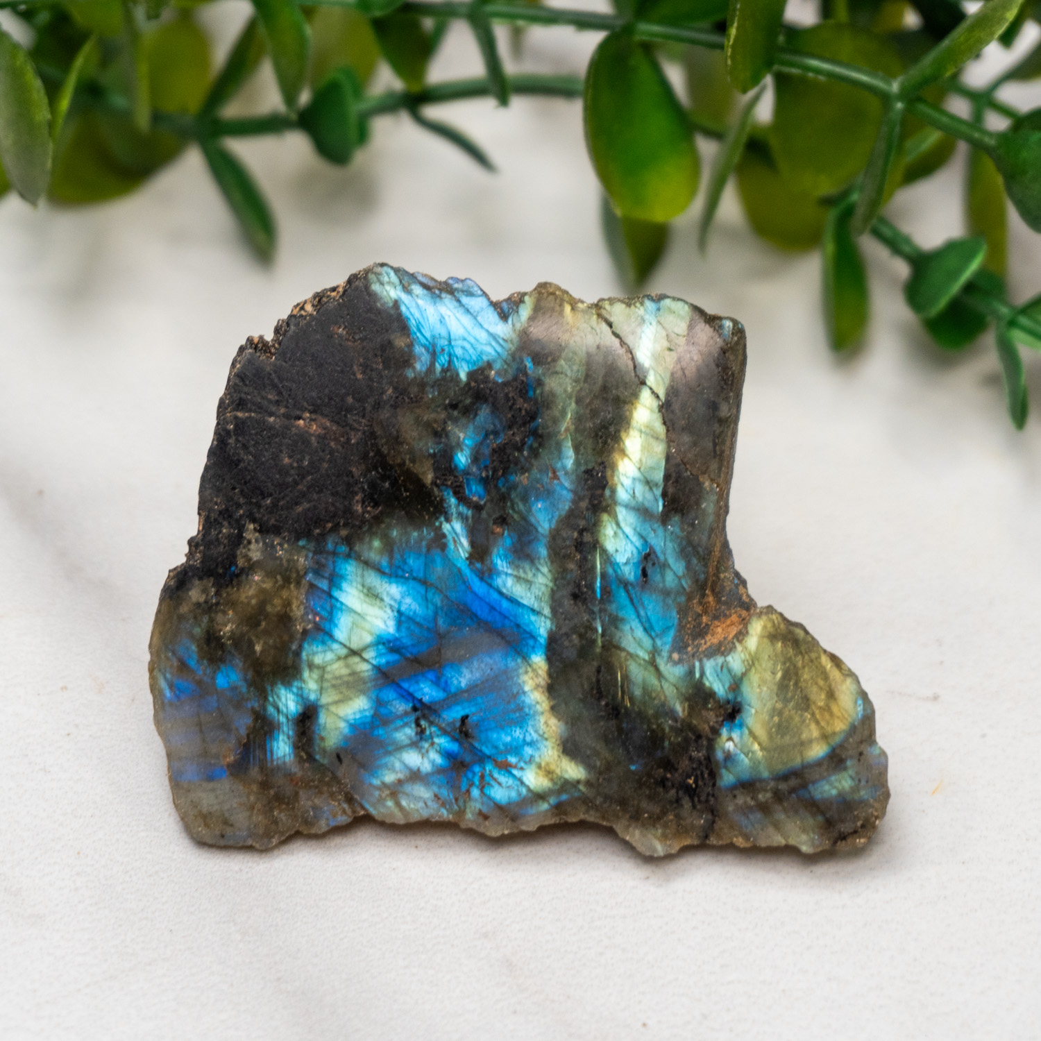 Labradorite Half Polished #5 - The Crystal Council